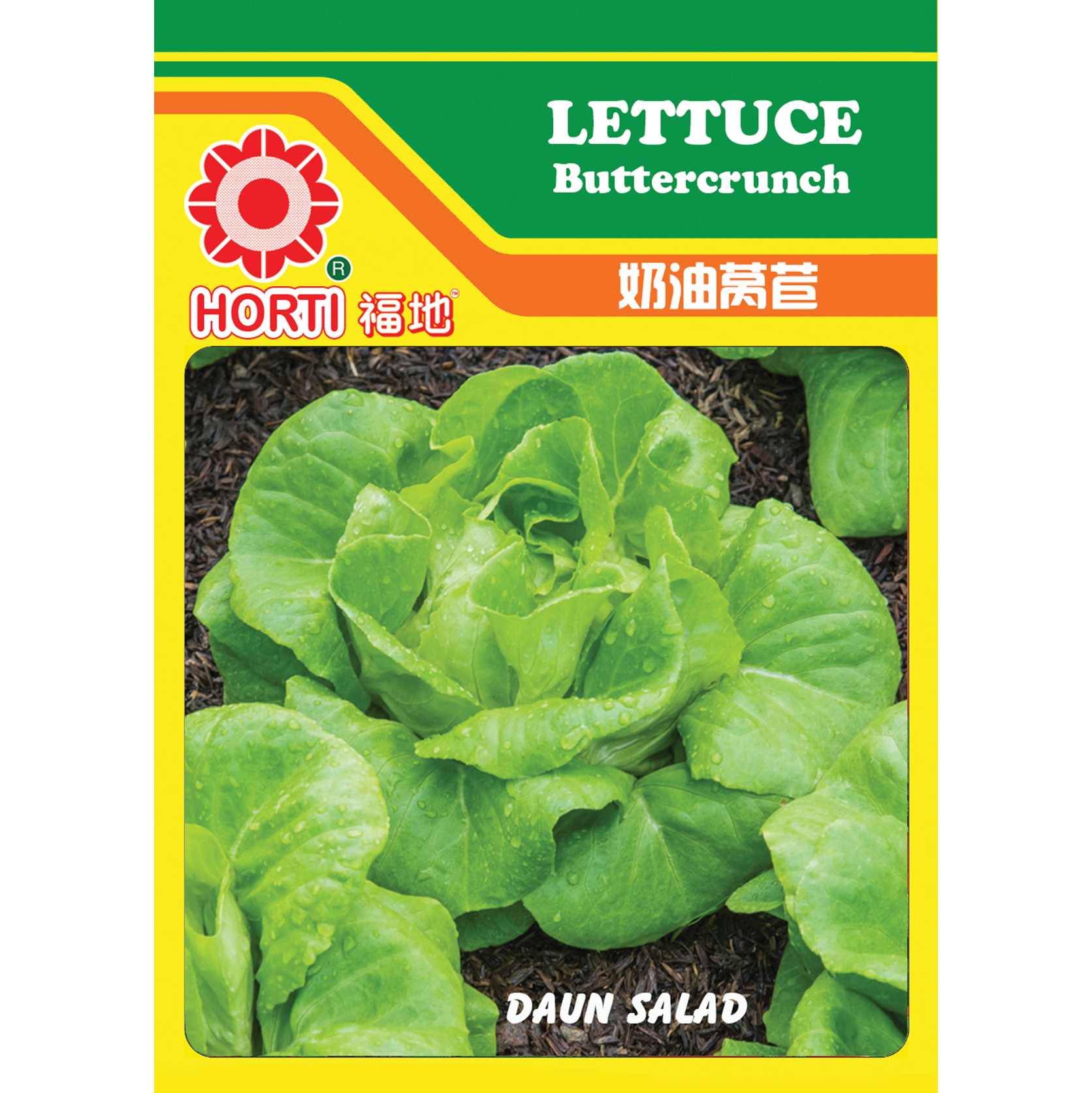 Lettuce Buttercrunch Seeds | NTUC FairPrice