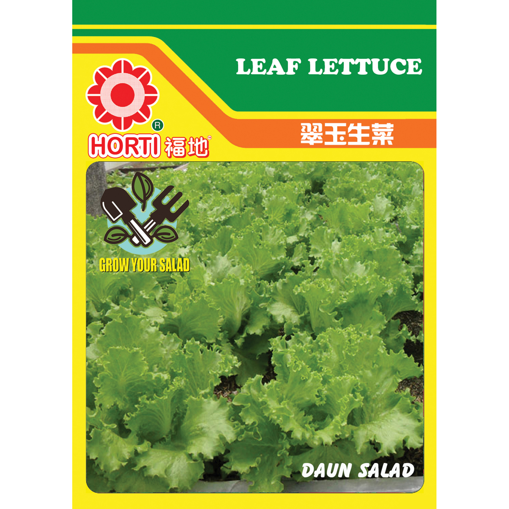 Leaf Lettuce Seeds | NTUC FairPrice