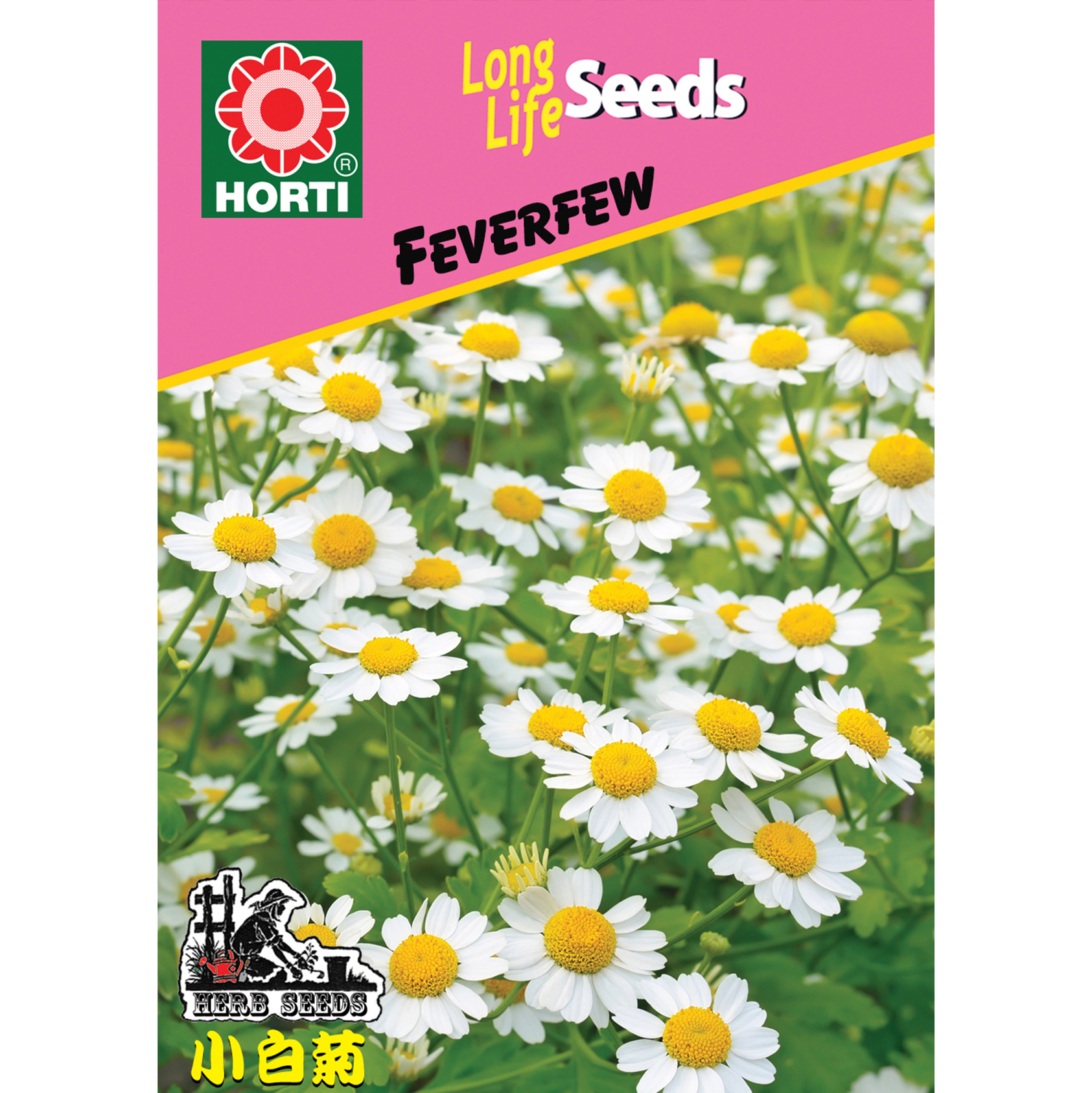 Feverfew Seeds | NTUC FairPrice