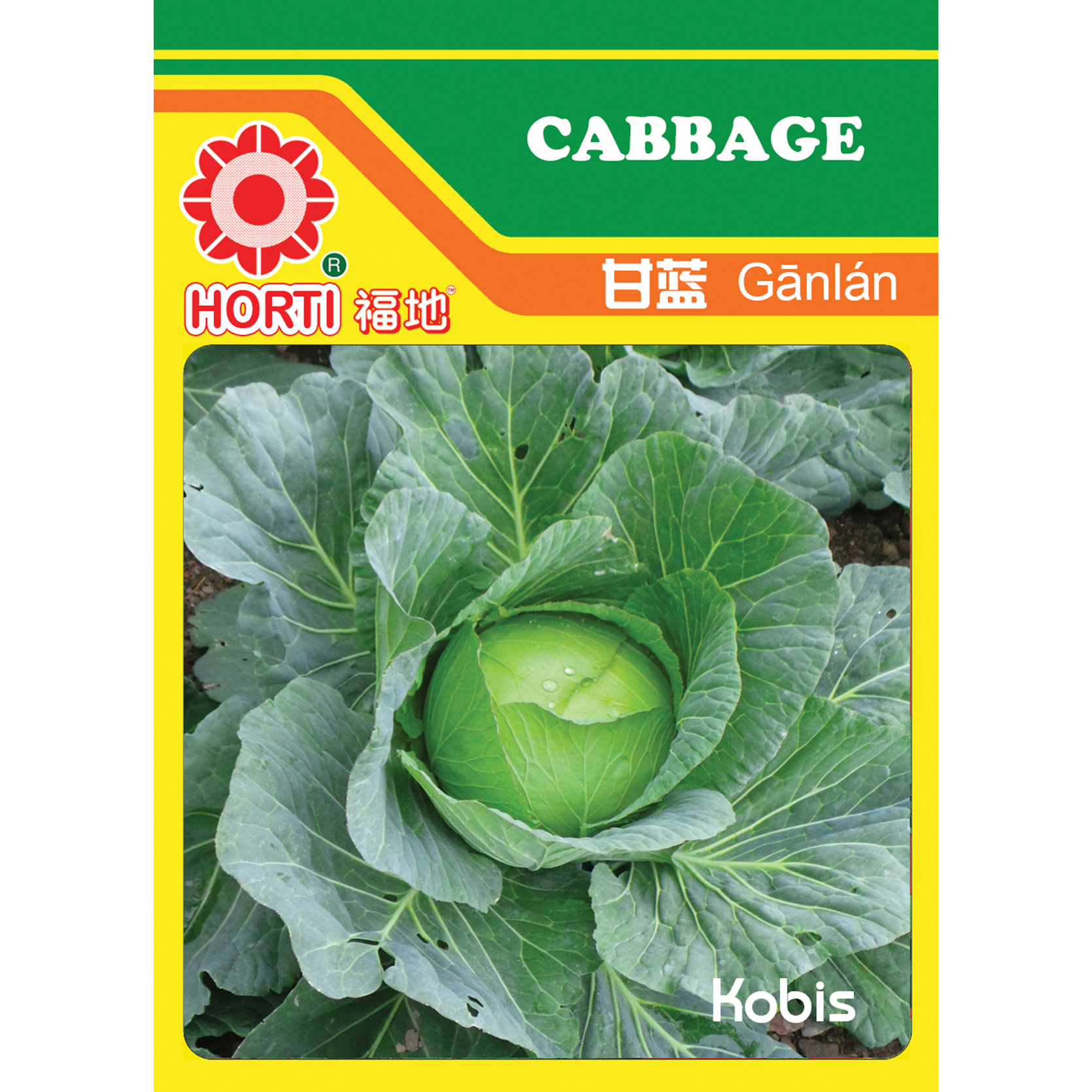 Cabbage Tropic Cross F1 Seeds | NTUC FairPrice