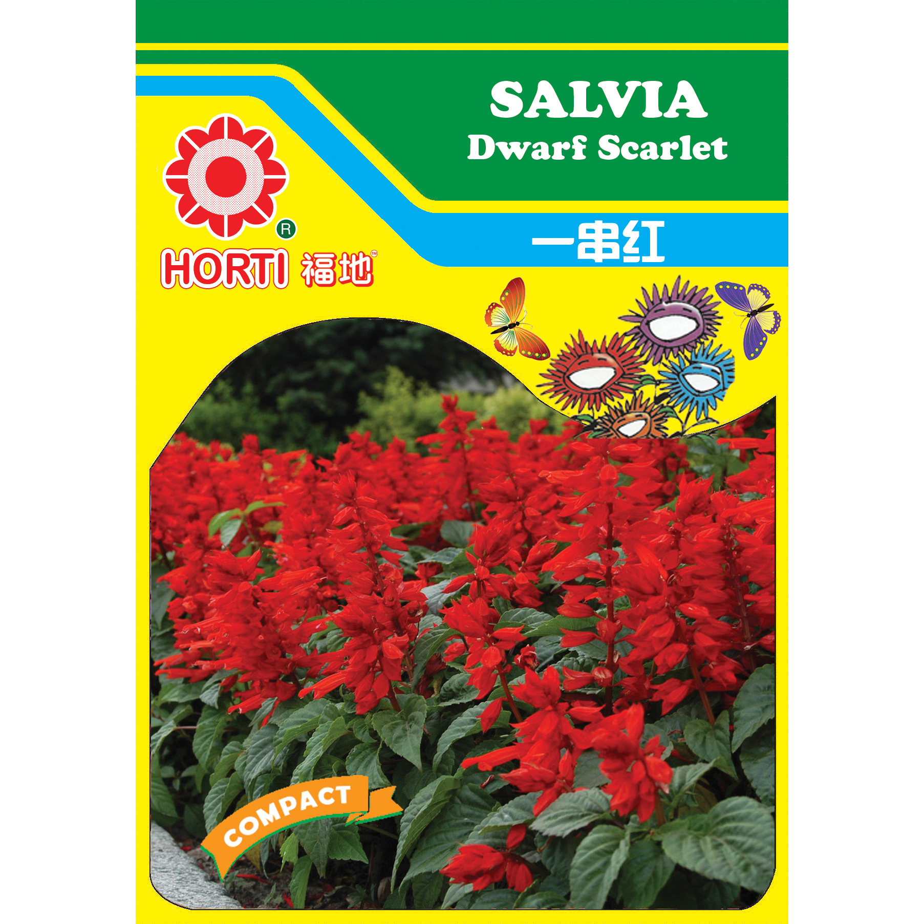 Salvia Dwarf Scarlet Seeds | NTUC FairPrice