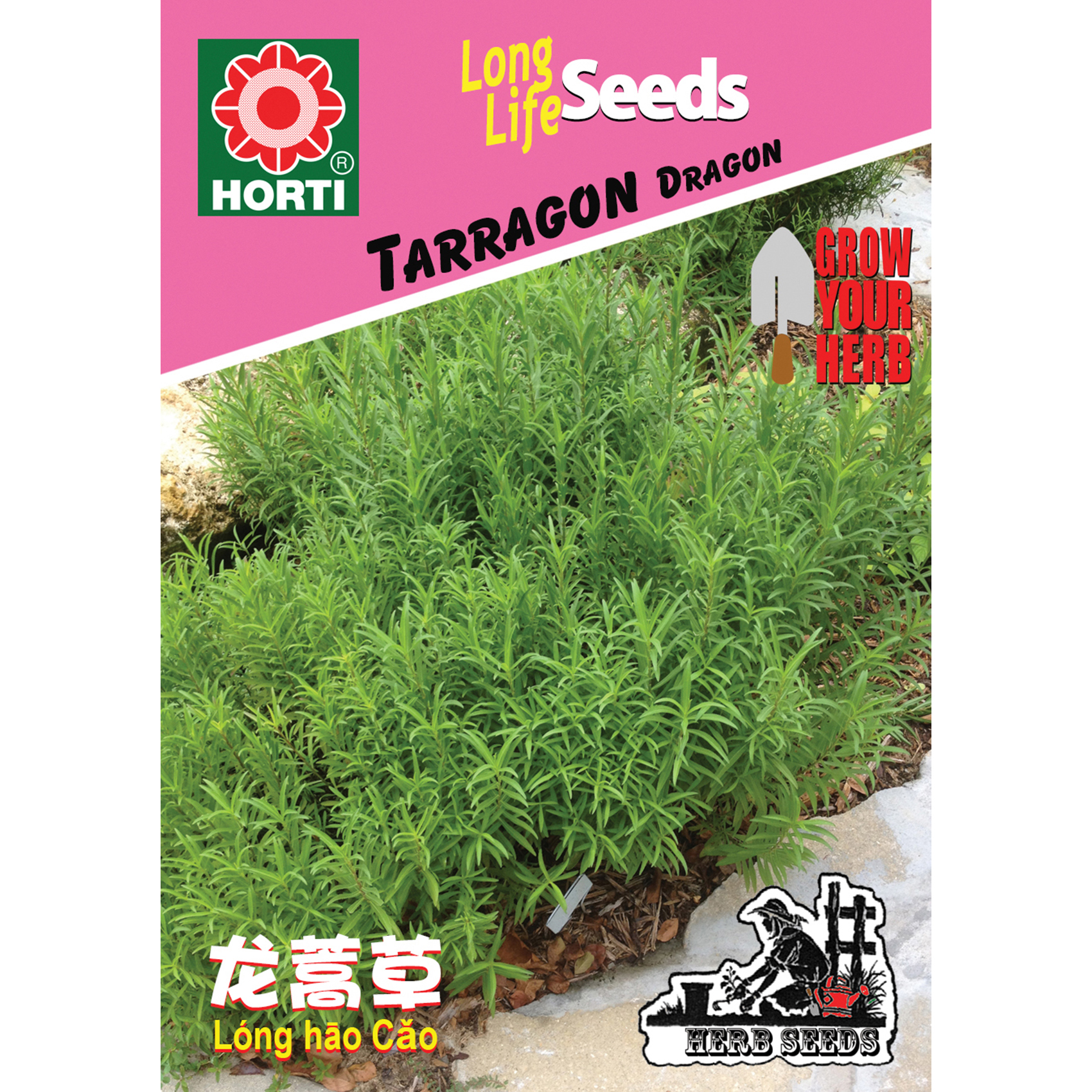 Tarragon Seeds | NTUC FairPrice