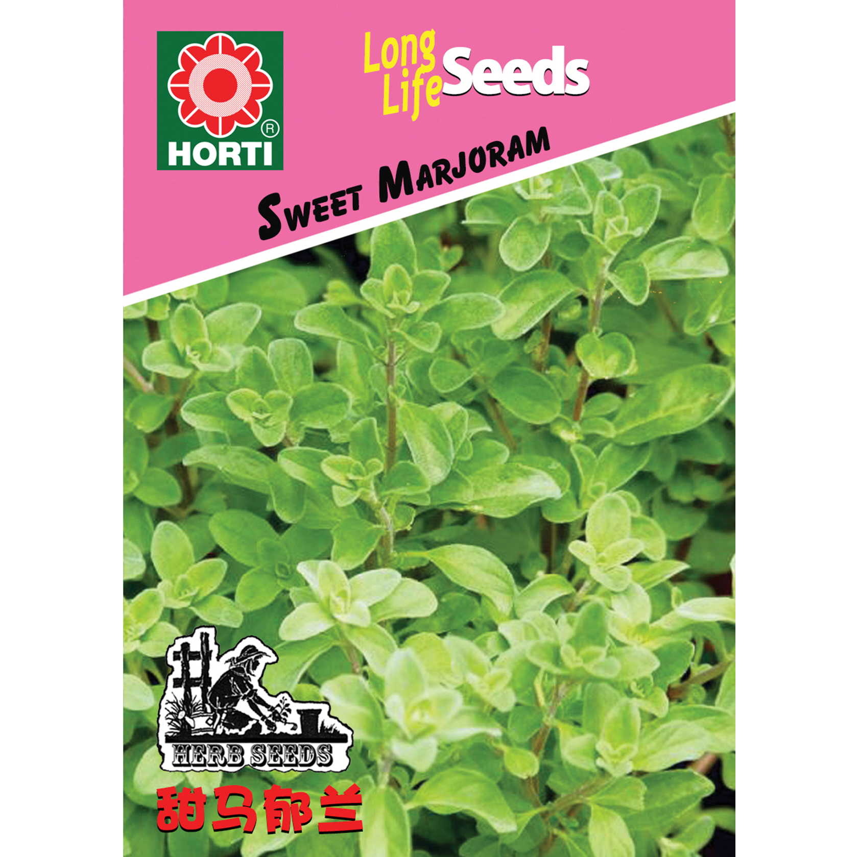 Sweet Marjoram Seeds | NTUC FairPrice