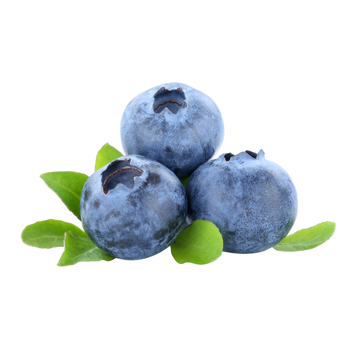 Orgo Fresh Sweet Super Jumbo Blueberry (Blueberries) | NTUC FairPrice