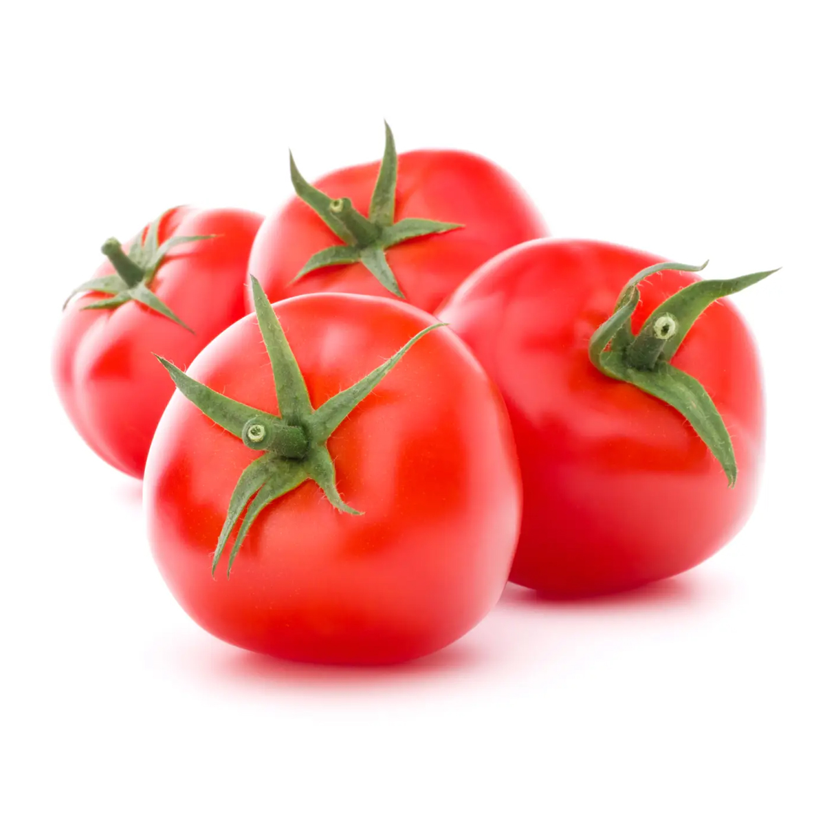 Orgo Fresh Royal Red Tomato (Tomatoes) | NTUC FairPrice