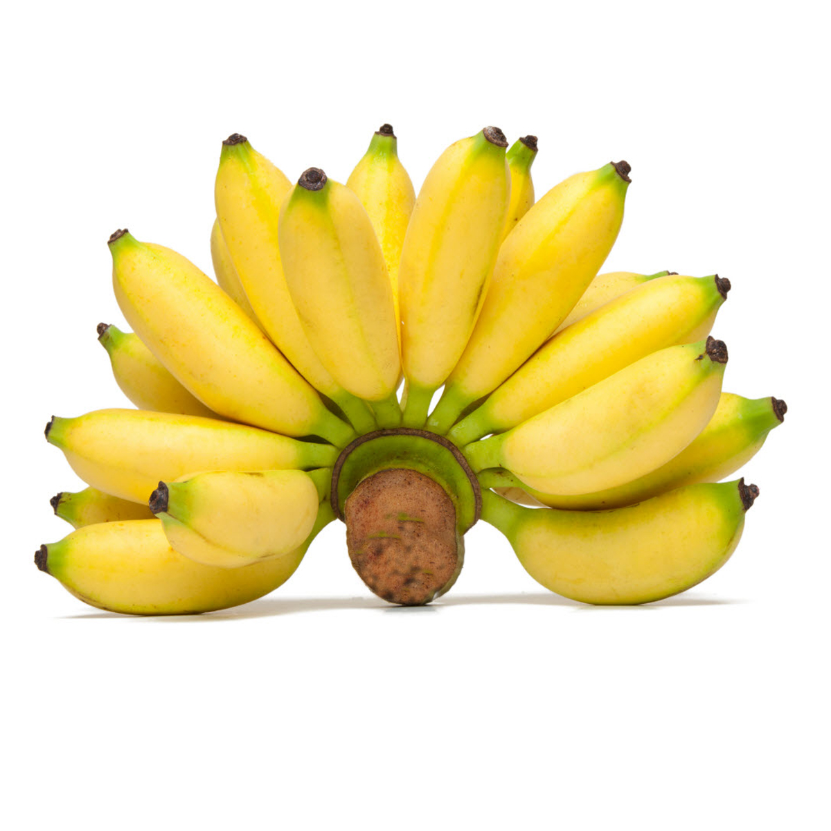 Orgo Fresh Tropical Pisang Mas Banana | NTUC FairPrice