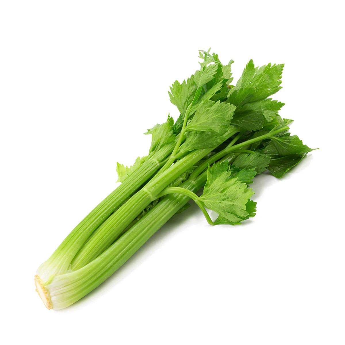 Orgo Fresh Chinese Celery | NTUC FairPrice