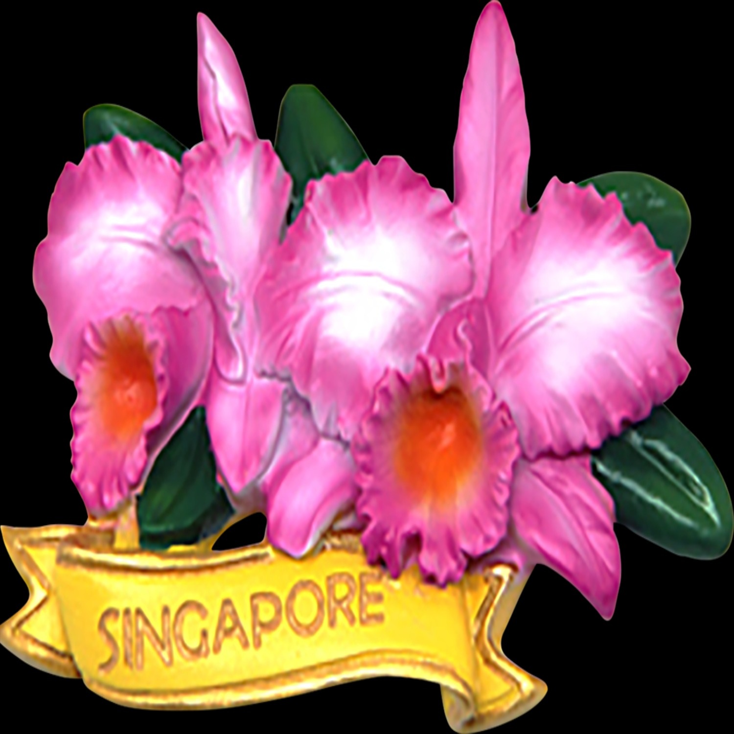 ACE Orchid Magnet - Rhycholaeliocattleya Pink Diamond | NTUC FairPrice