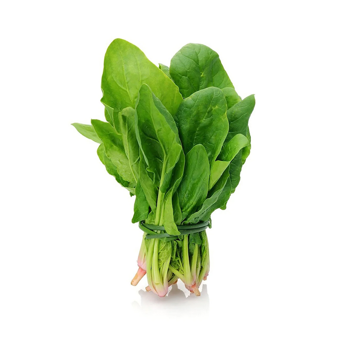 Orgo Fresh Premium Green Chinese Spinach | NTUC FairPrice