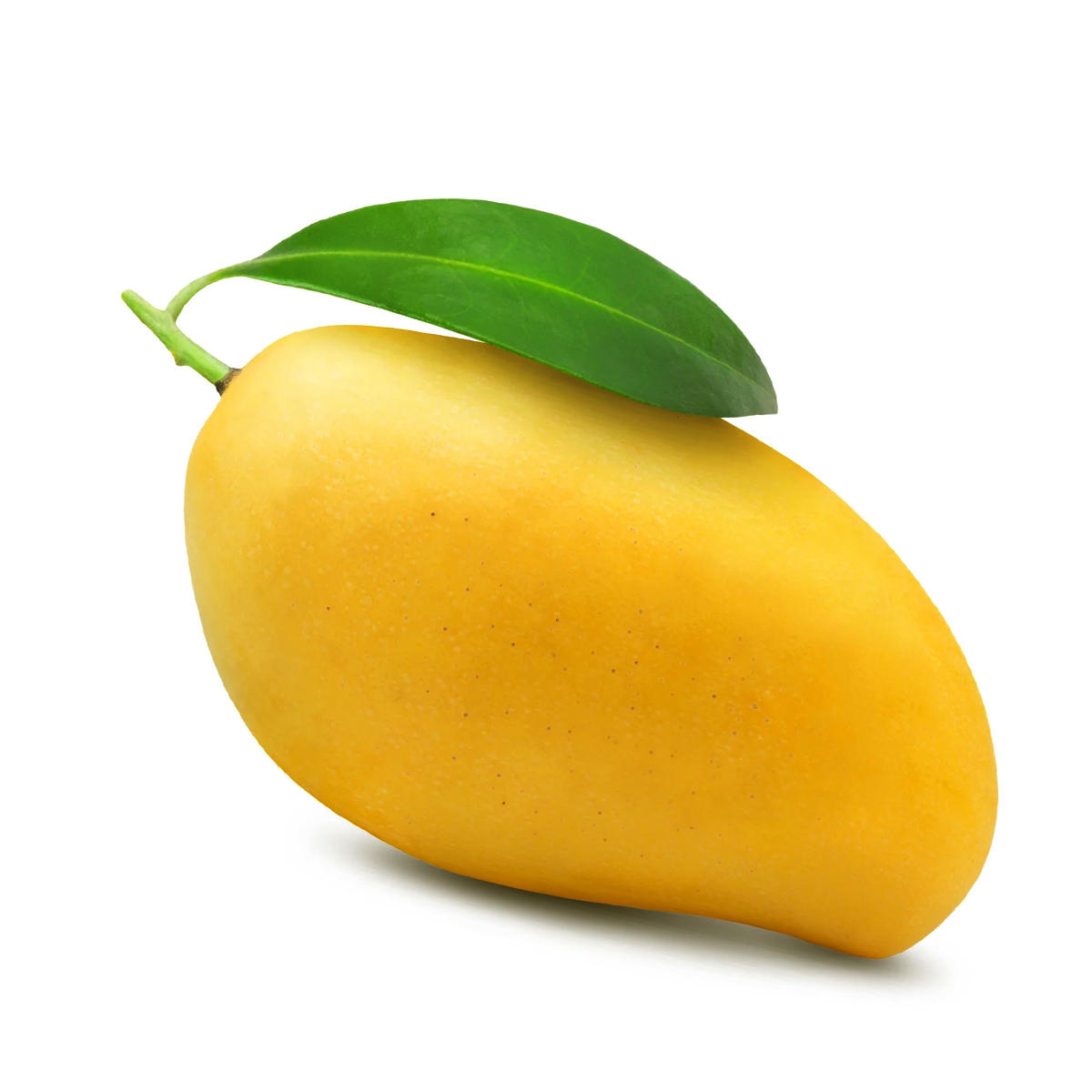Orgo Fresh Indian Banganapalle Mango | NTUC FairPrice