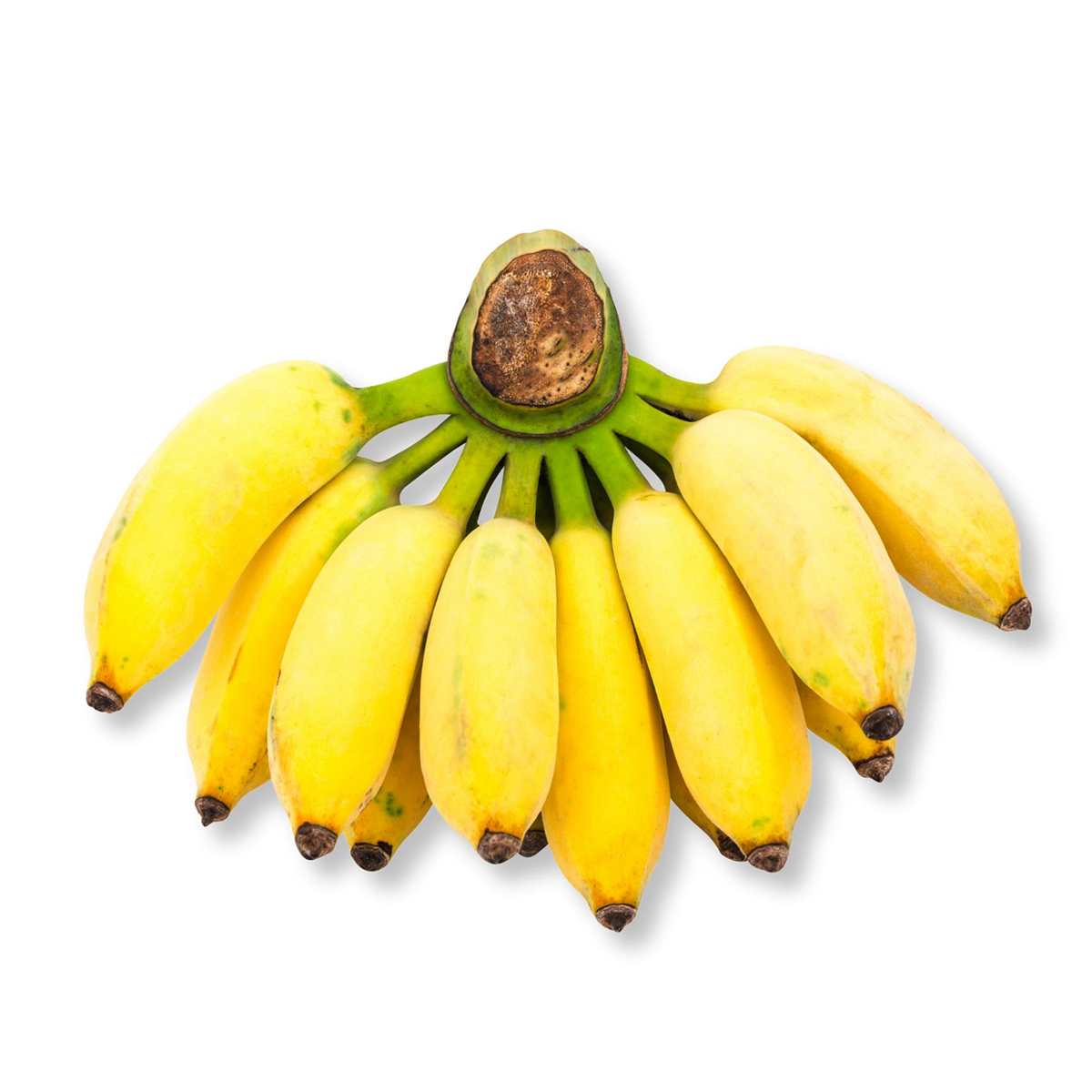 Orgo Fresh Sweet Pisang Susu Banana | NTUC FairPrice