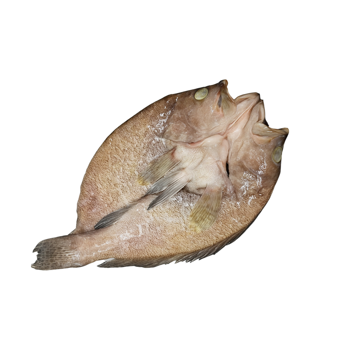 Fresh Frozen Flower Grouper Butterfly | NTUC FairPrice