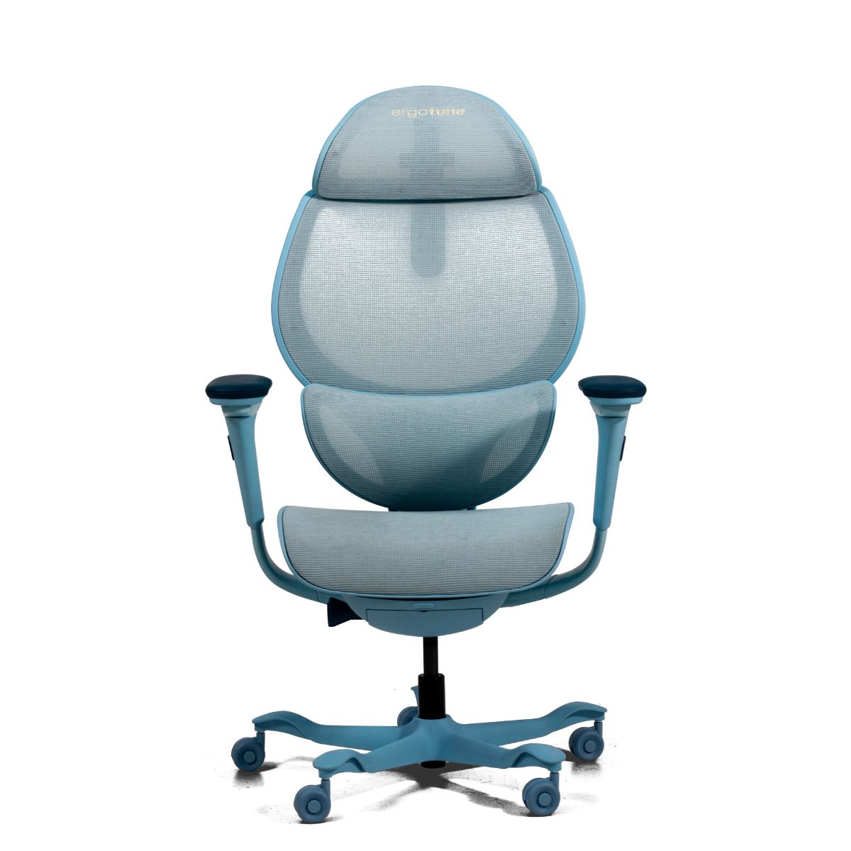 ErgoTune Vesby Ergonomic Chair - Caesius Blue | NTUC FairPrice