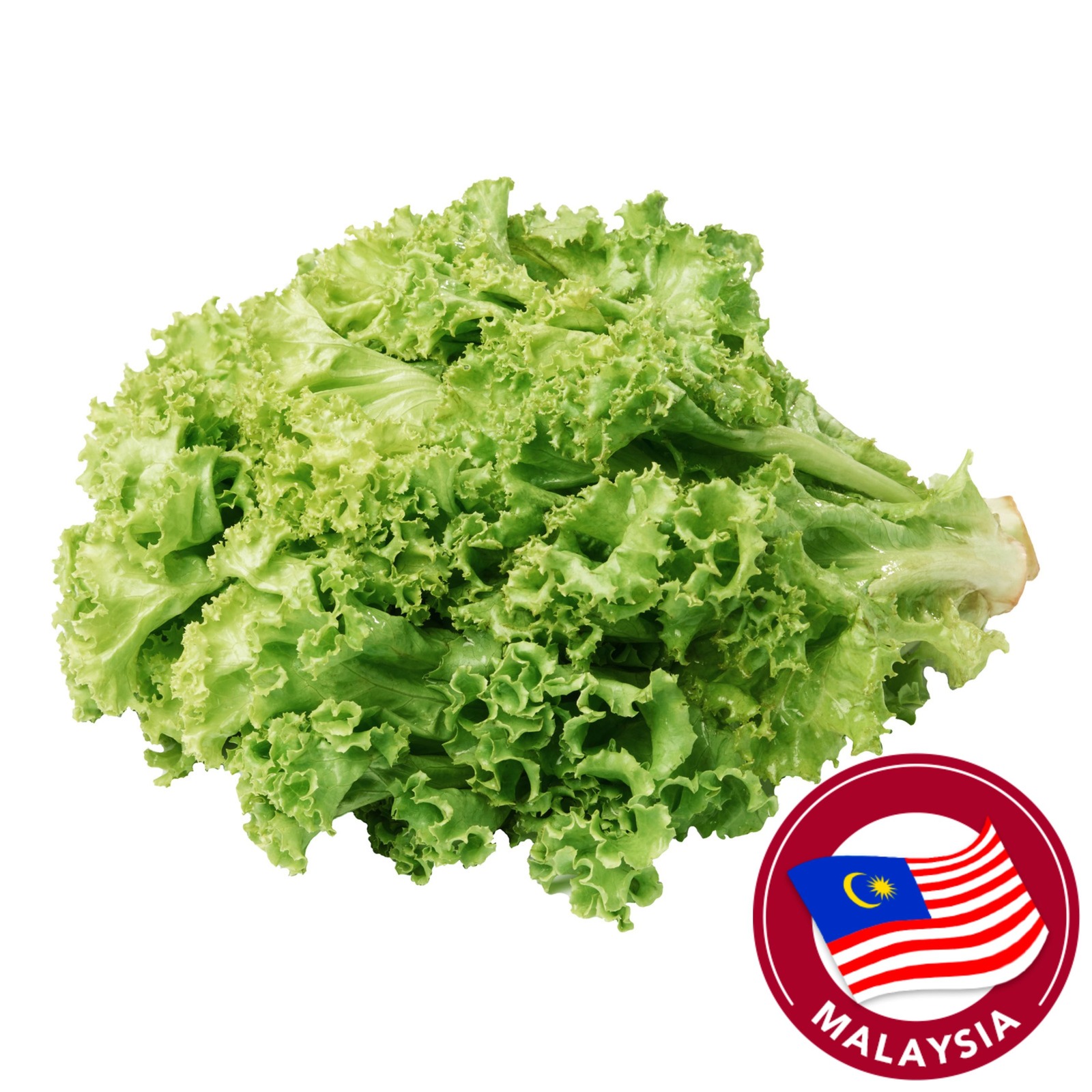 Pasar Local Lettuce | NTUC FairPrice