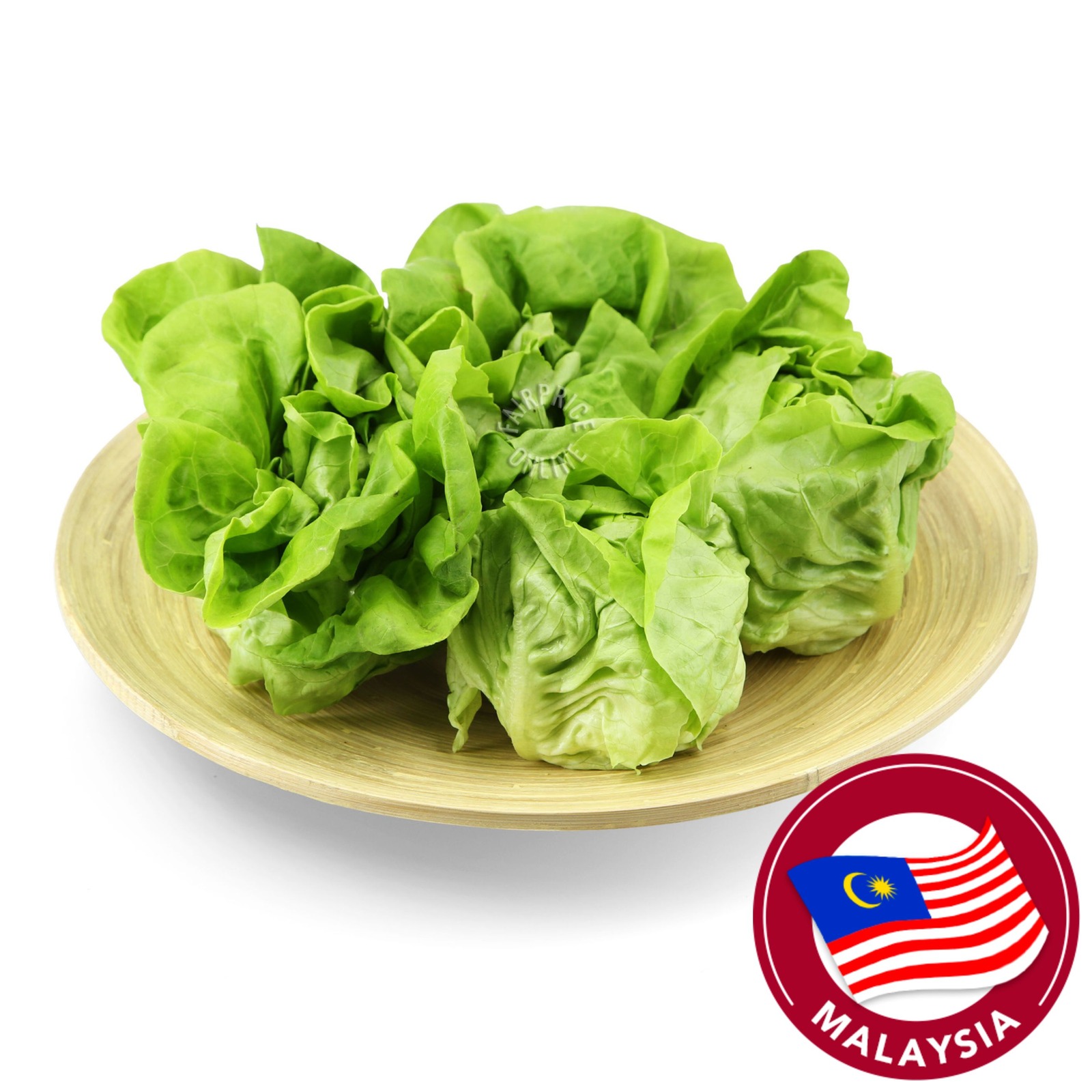 Thygrace Butterhead Lettuce | NTUC FairPrice