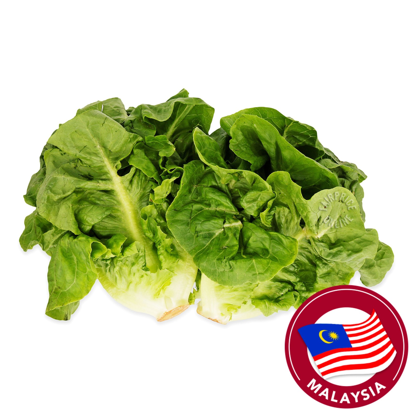 Budget Romaine Lettuce | NTUC FairPrice