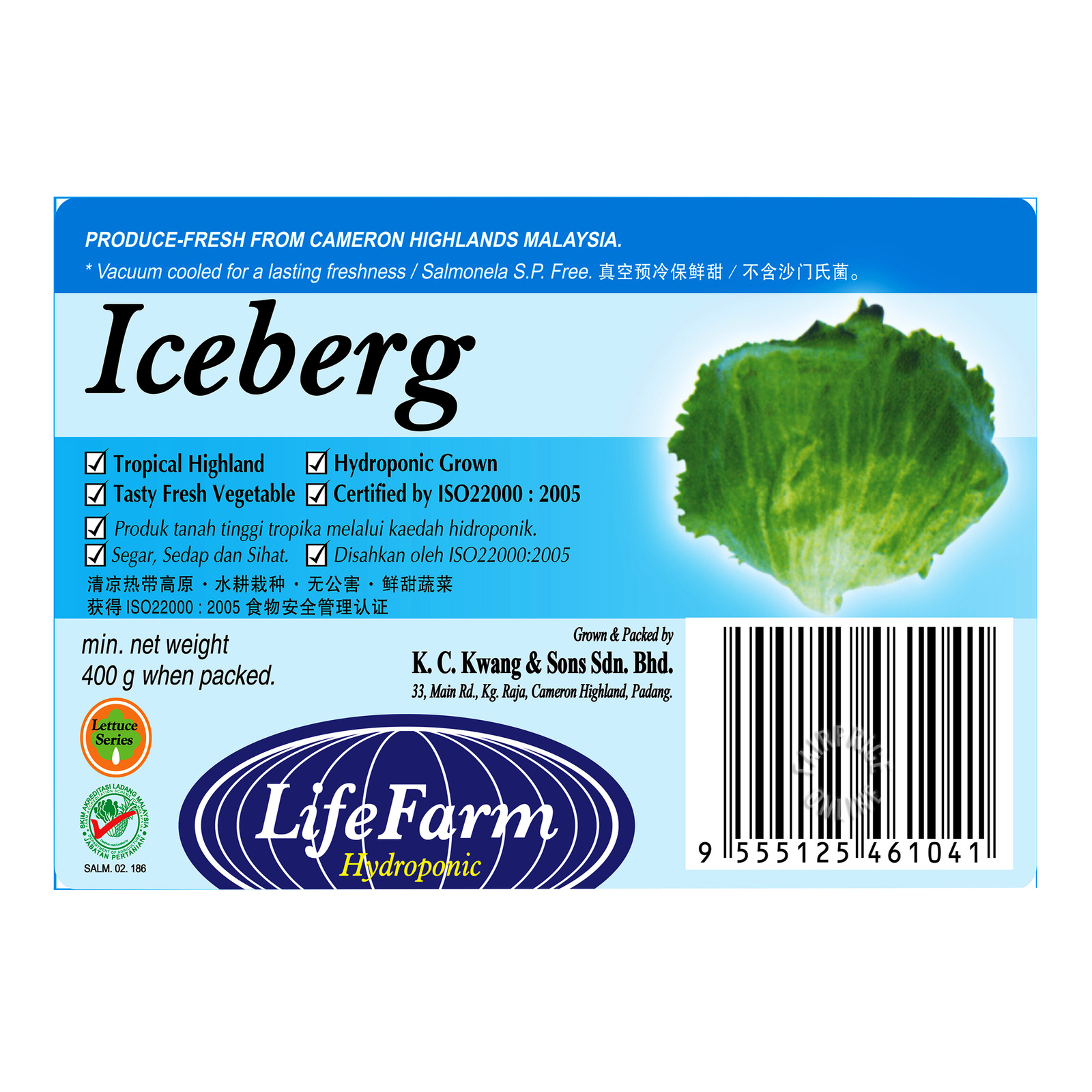 Lifefarm Iceberg Lettuce | NTUC FairPrice