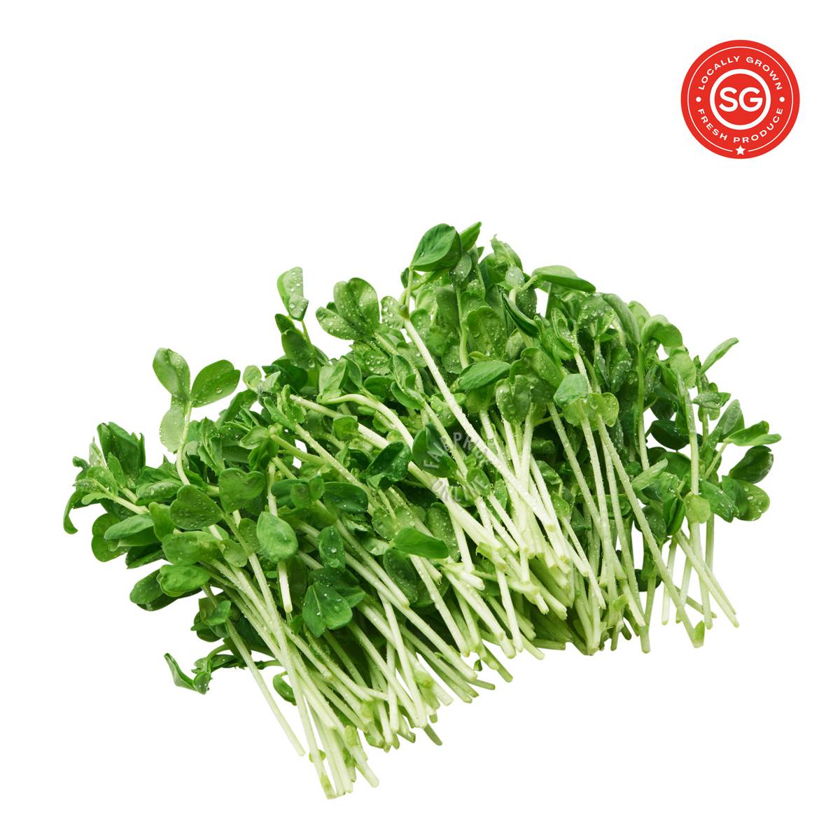 P&L Fresh Vegetable - Pea Sprouts | NTUC FairPrice
