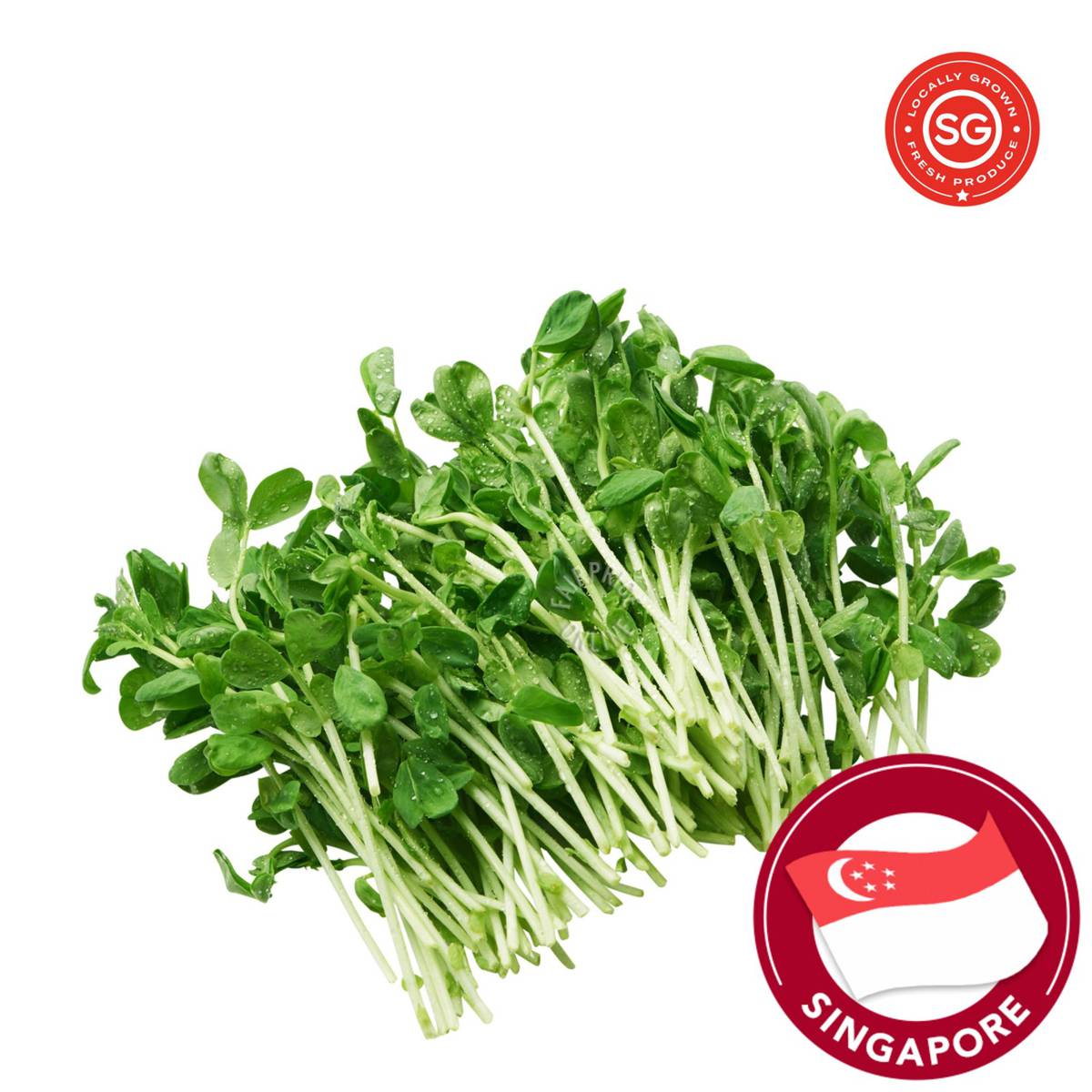 P&L Fresh Vegetable - Pea Sprouts | NTUC FairPrice