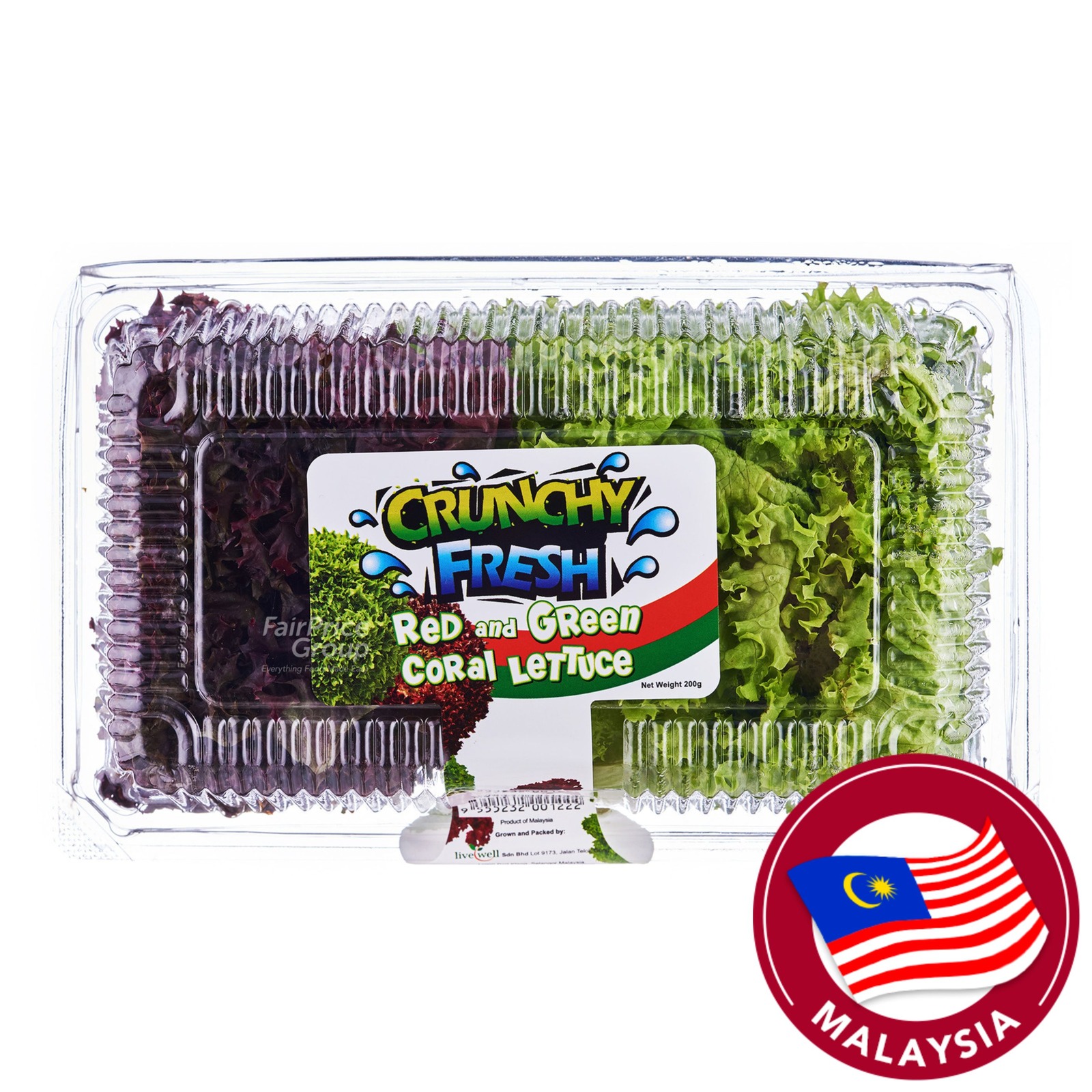Crunchy Fresh Coral Lettuce - Red & Green | NTUC FairPrice