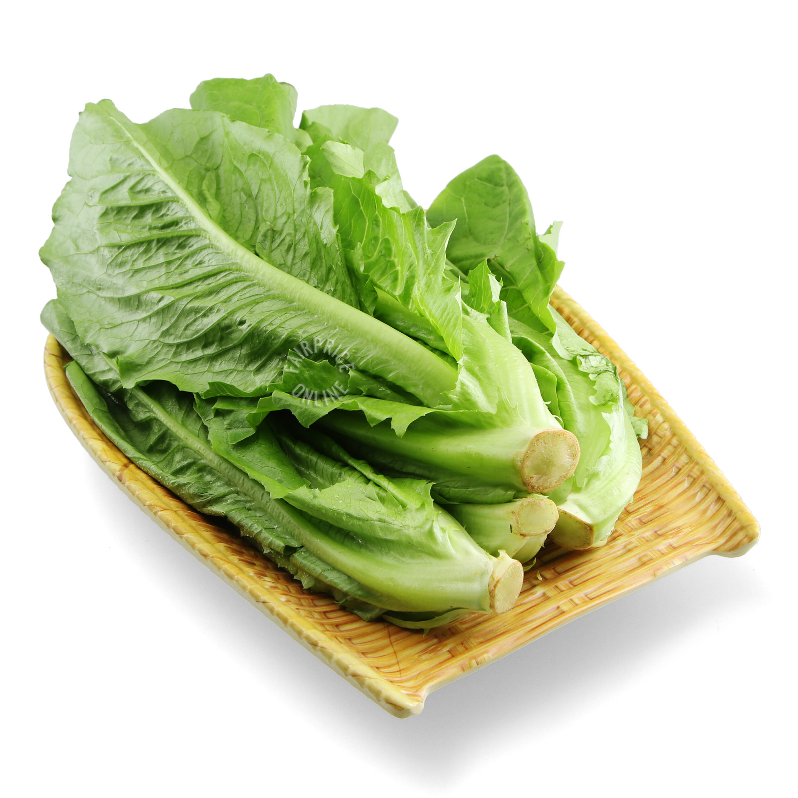 Pasar Thailand Romain Lettuce | NTUC FairPrice