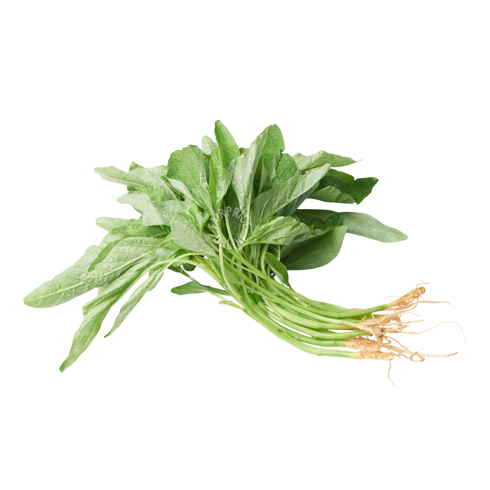 Kok Fah Fresh Vegetable - Baby Spinach | NTUC FairPrice