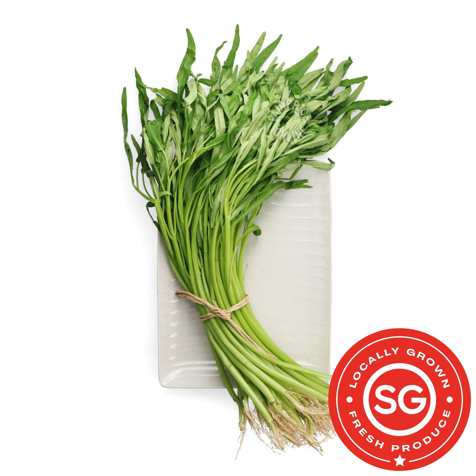 Yili Farm Kang Kong | NTUC FairPrice