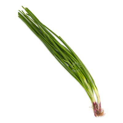 Go Fresh Spring Onion | NTUC FairPrice