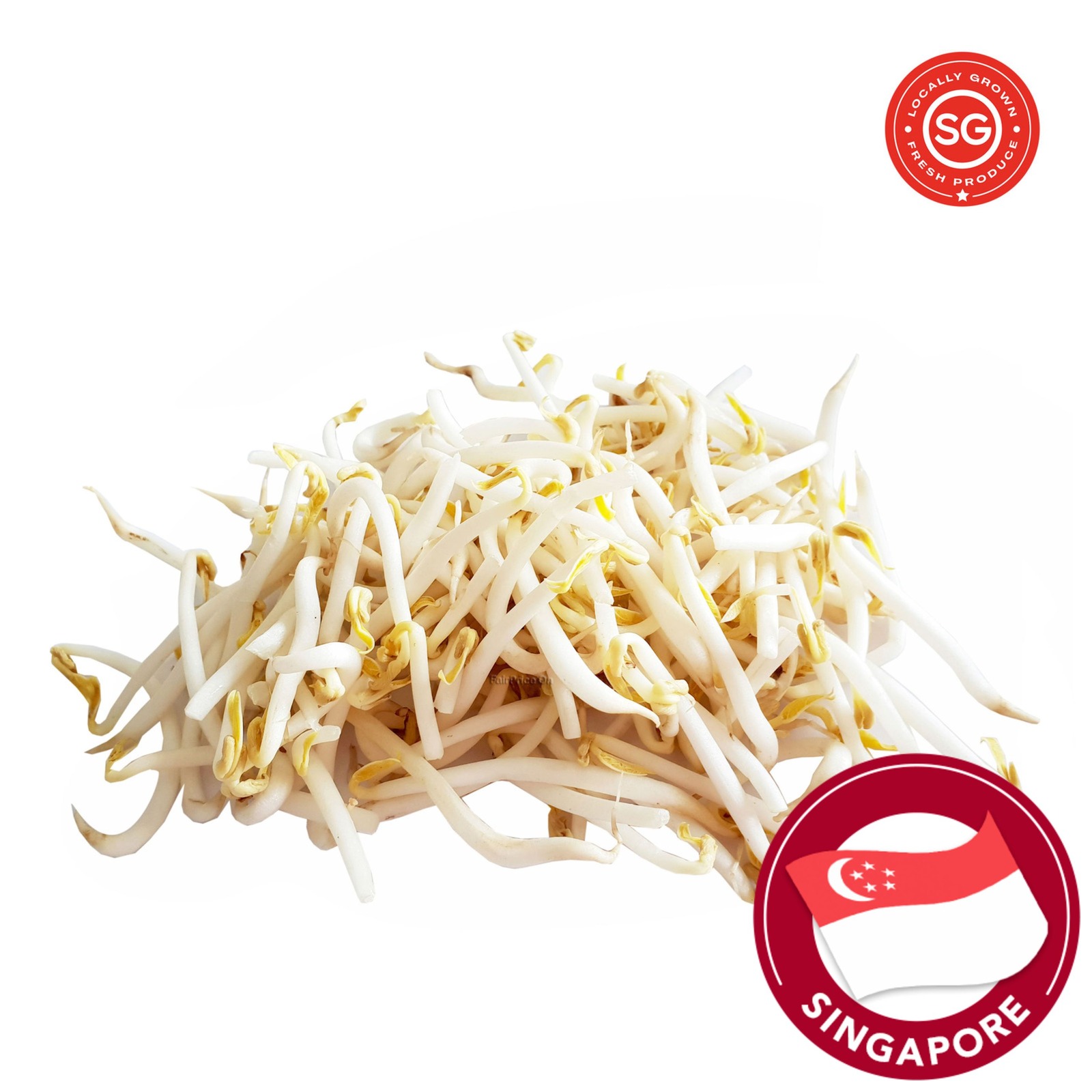 Pasar Singapore Bean Sprouts | NTUC FairPrice
