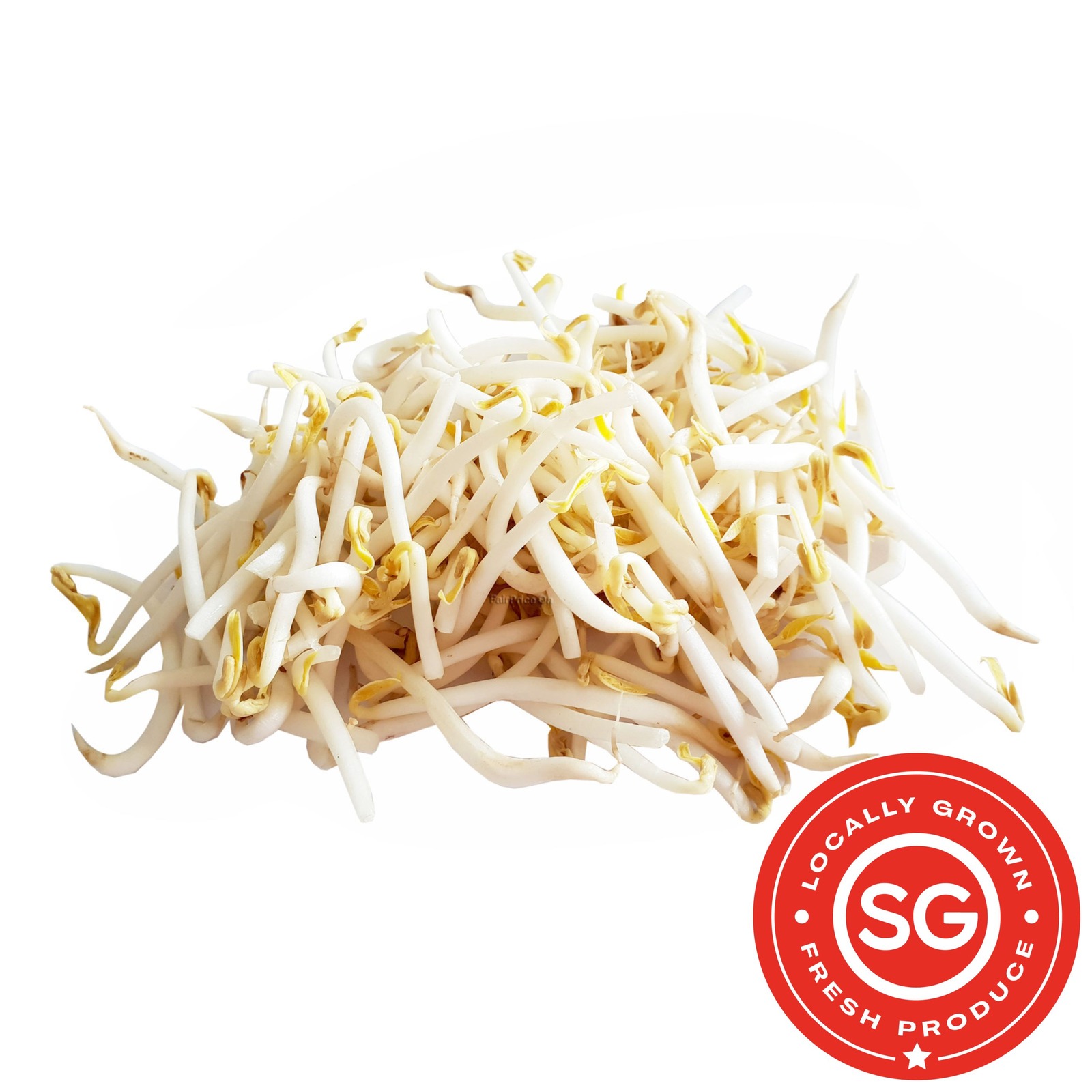 Pasar Singapore Bean Sprouts | NTUC FairPrice