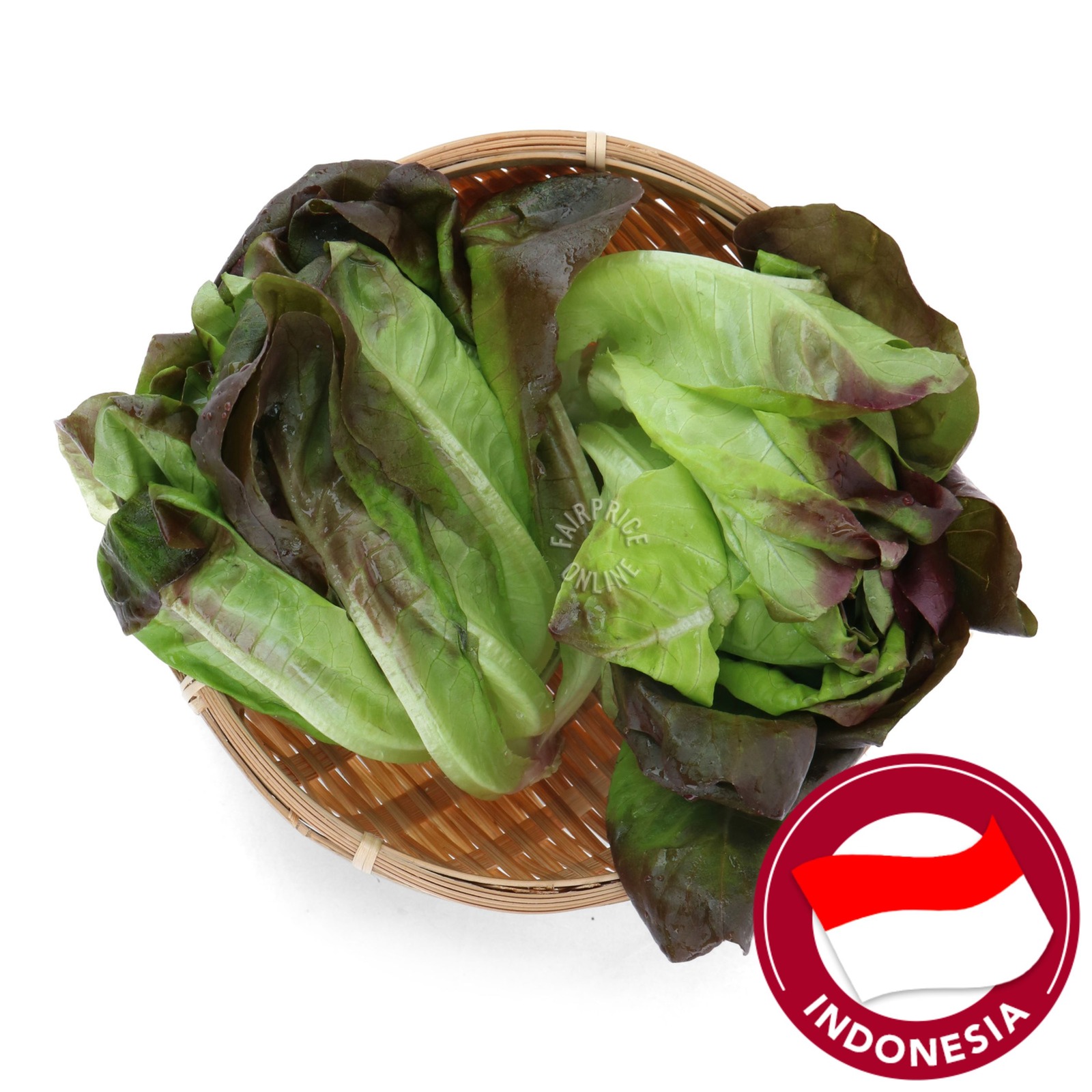 Fresharvest Butterhead Lettuce - Red | NTUC FairPrice