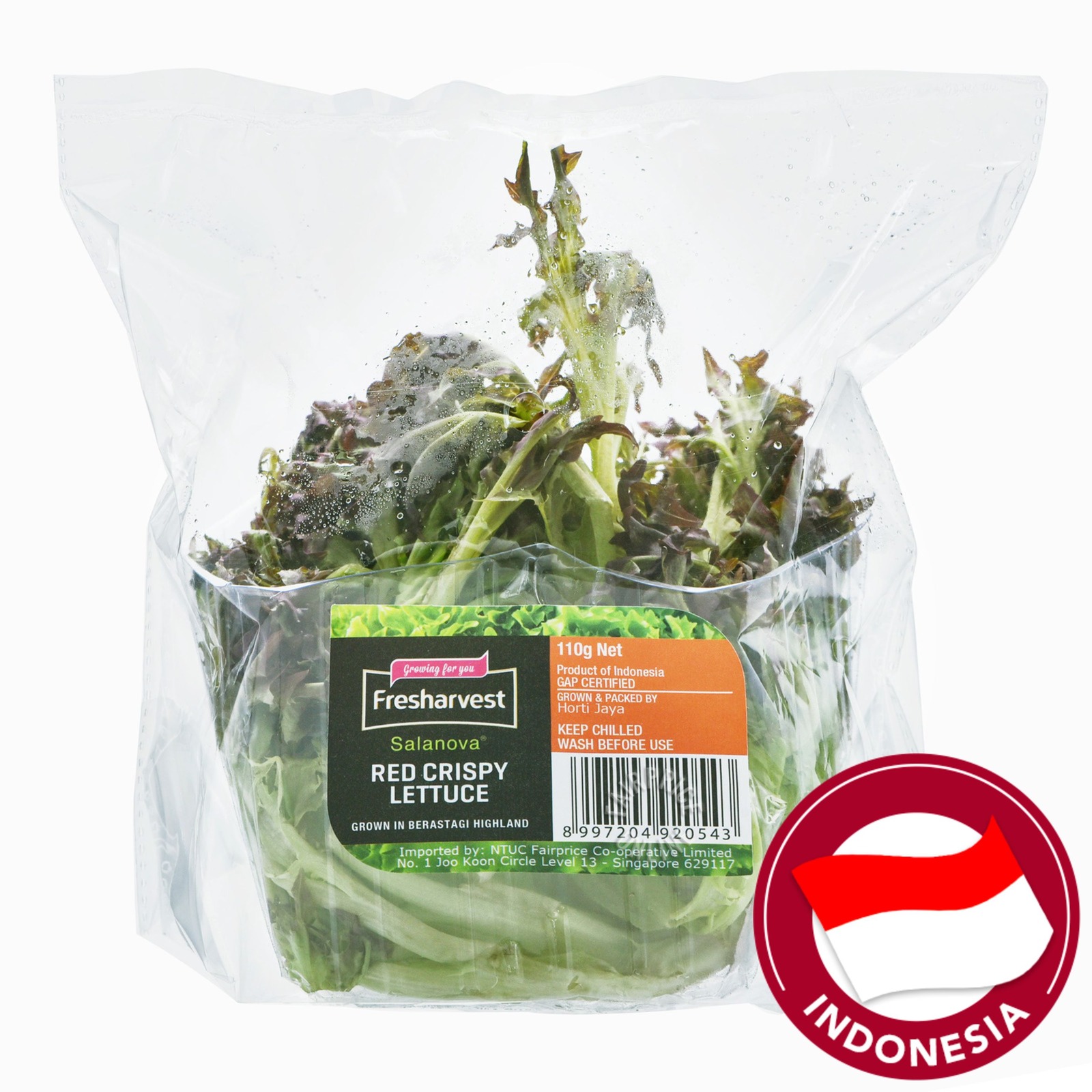 Freshharvest Crispy Red Lettuce | NTUC FairPrice