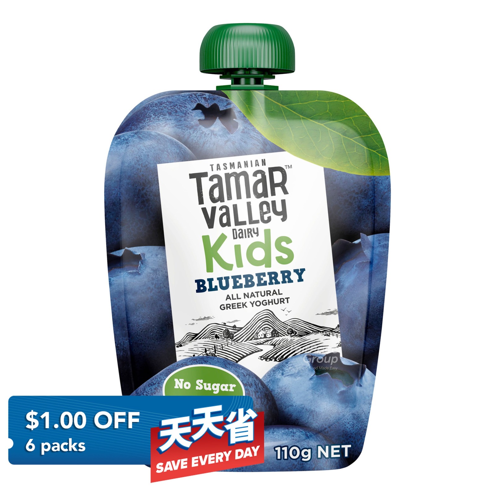 Tamar Valley Dairy Kids Greek Style Yoghurt - Blueberry | NTUC FairPrice