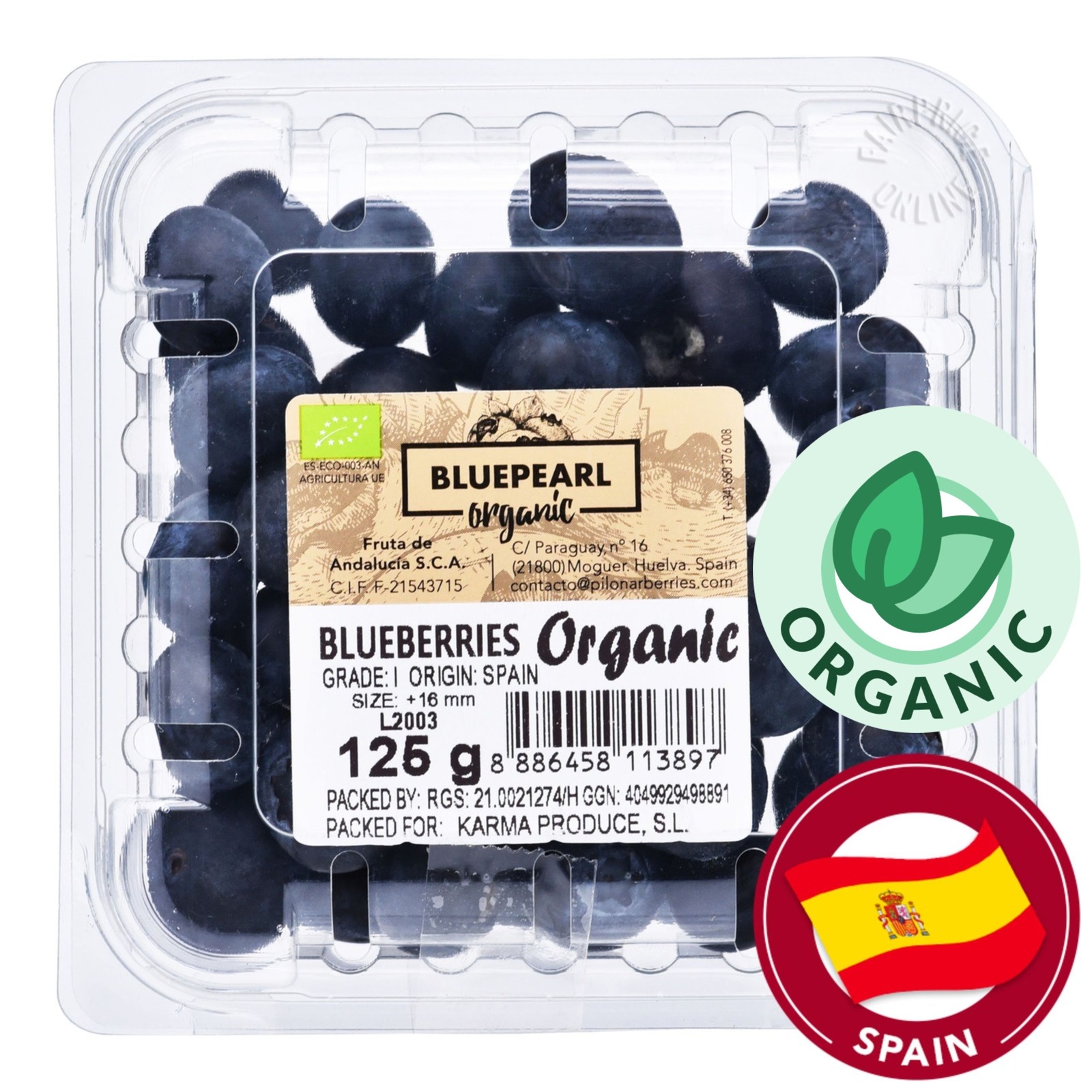 Bluepearl Organic Spain Blueberries | NTUC FairPrice