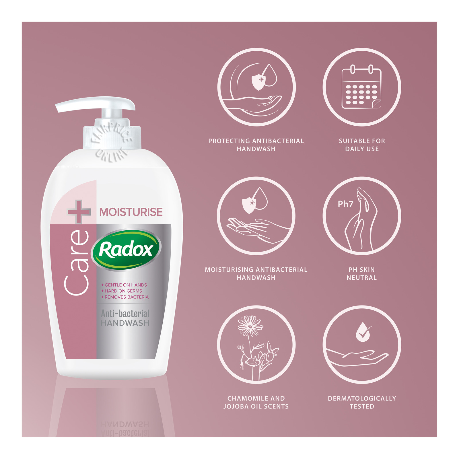 Radox Anti-Bacterial Handwash - Moisture | NTUC FairPrice