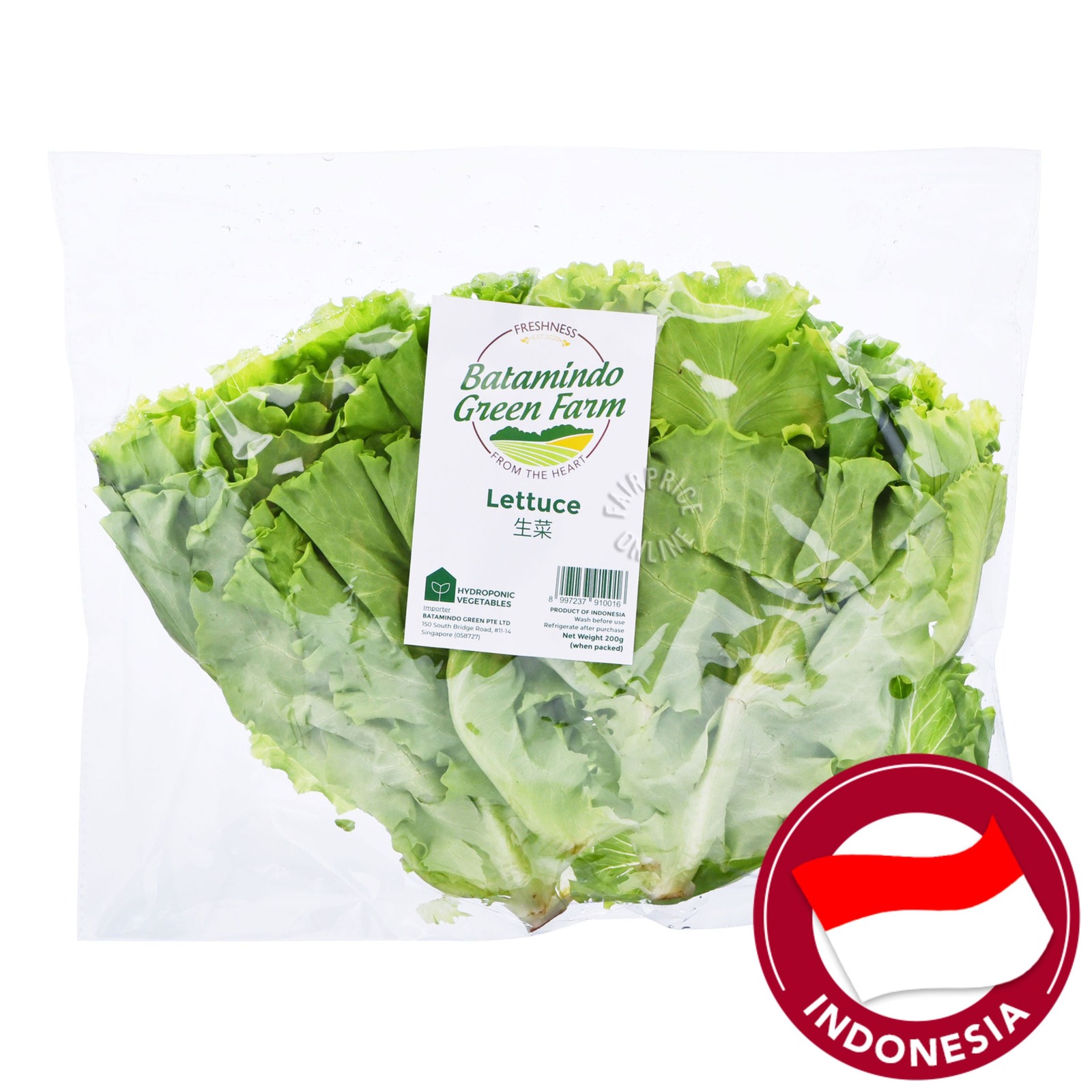 Batamindo Green Farm Lettuce | NTUC FairPrice