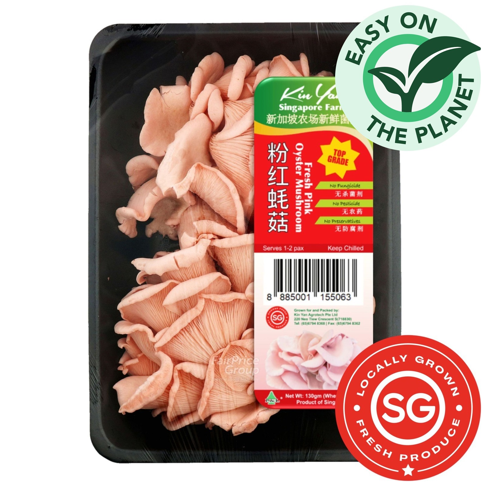 Kin Yan Fresh Pink Oyster Mushroom | NTUC FairPrice