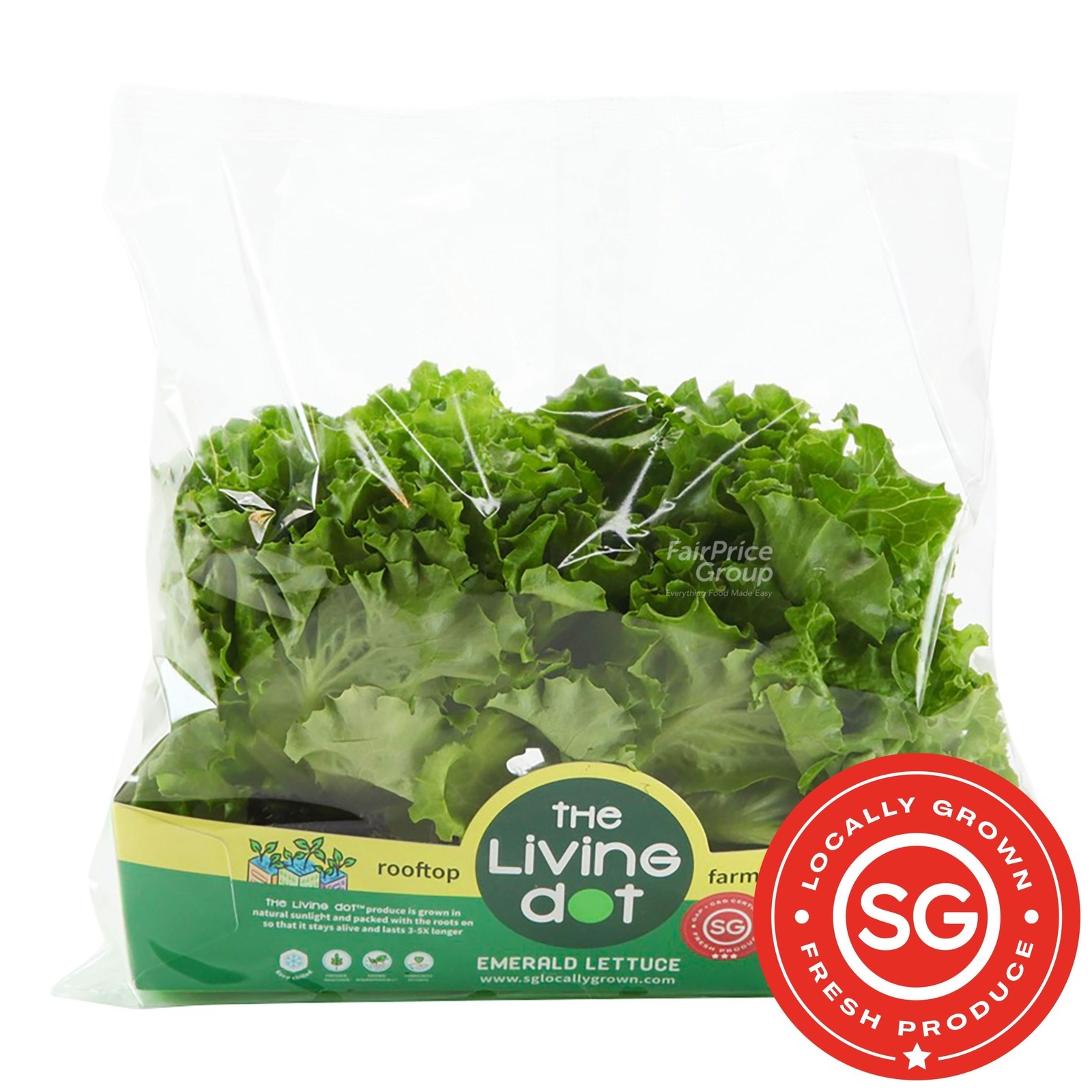 The Living Dot Green Emerald Lettuce | NTUC FairPrice