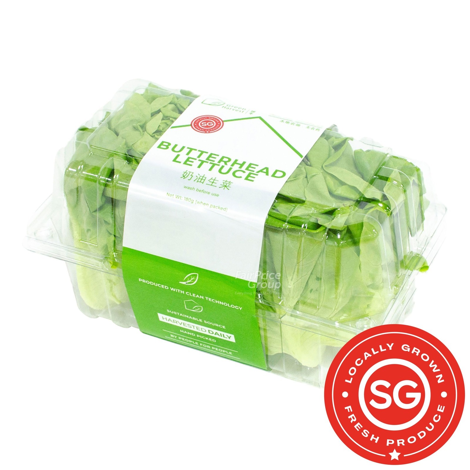 Green Harvest Butterhead Lettuce | NTUC FairPrice