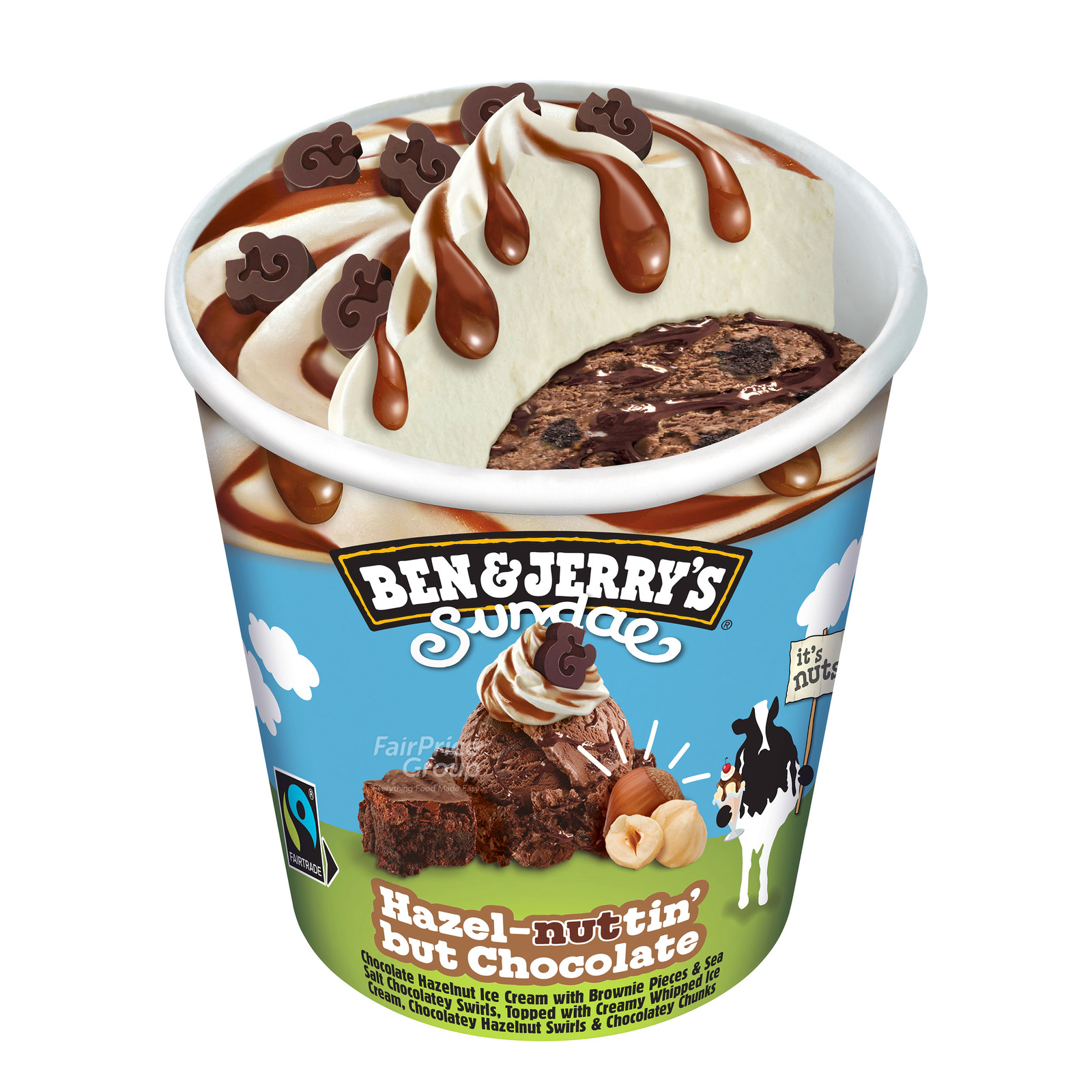 Ben & Jerry's Ice Cream - Hazelnuttin' but Chocolate | NTUC FairPrice