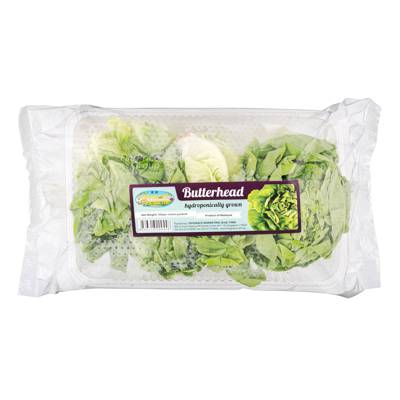 Thygrace Butterhead Lettuce | NTUC FairPrice