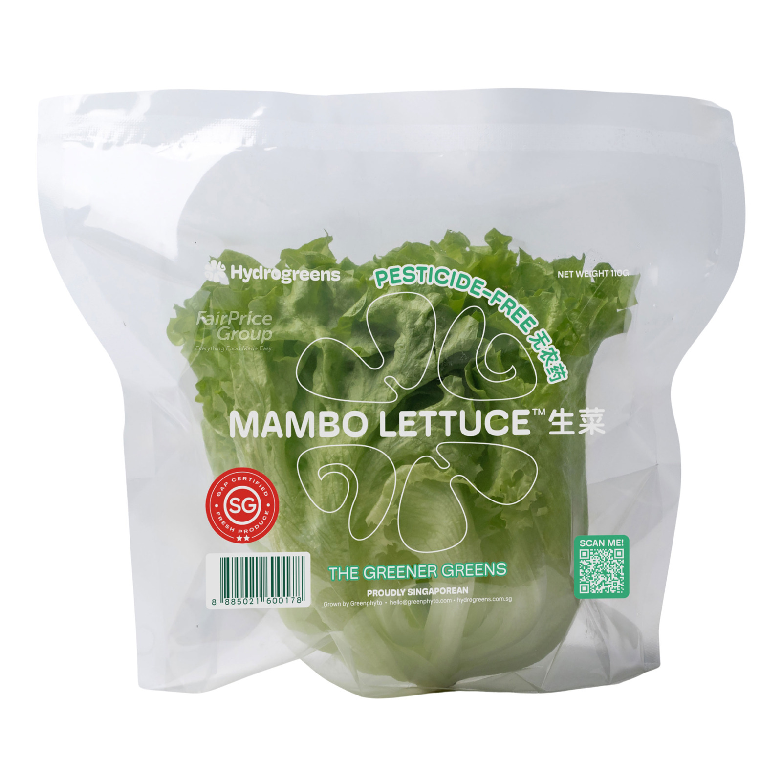 Hydrogreen SG Mambo Lettuce | NTUC FairPrice