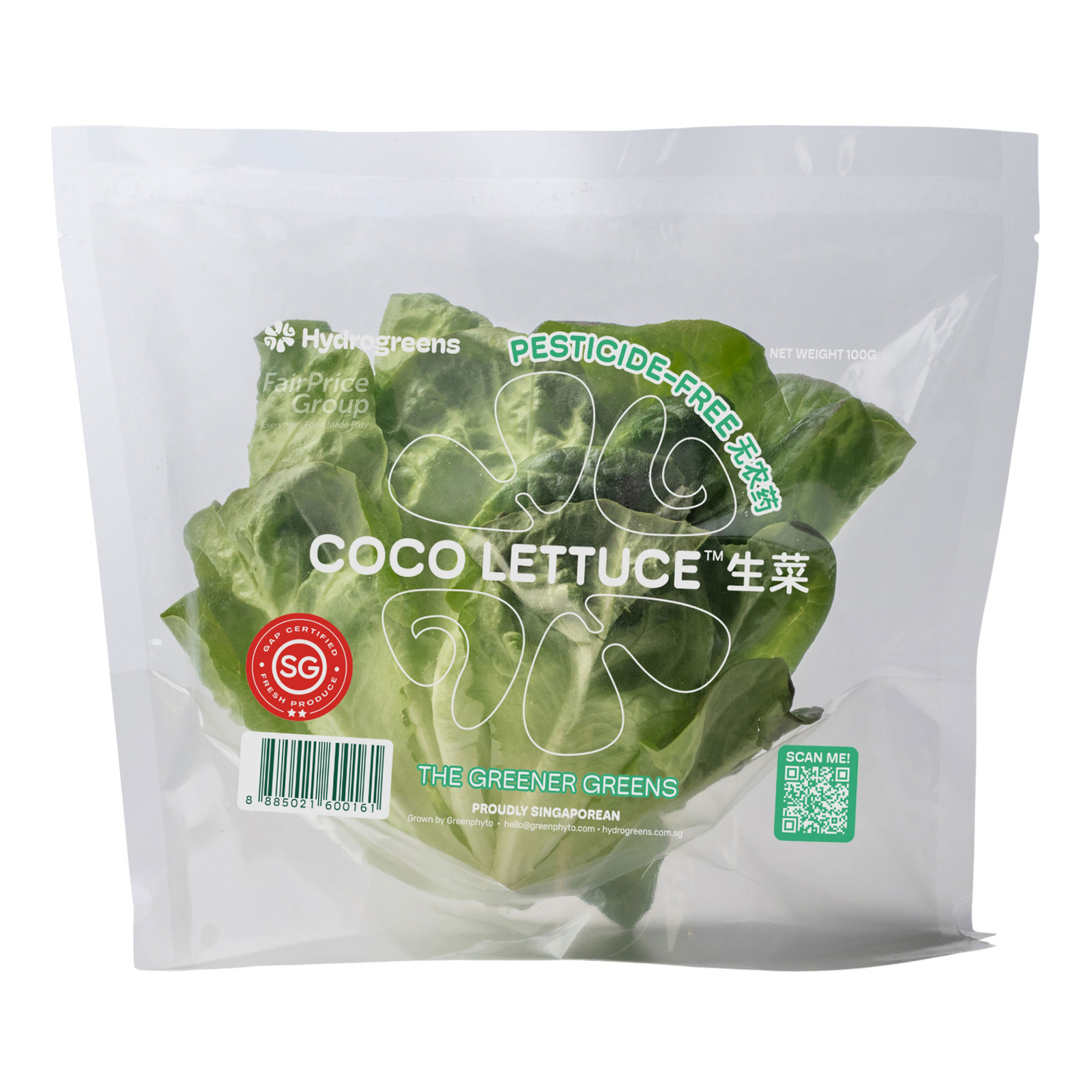 Hydrogreen SG Coco Lettuce | NTUC FairPrice