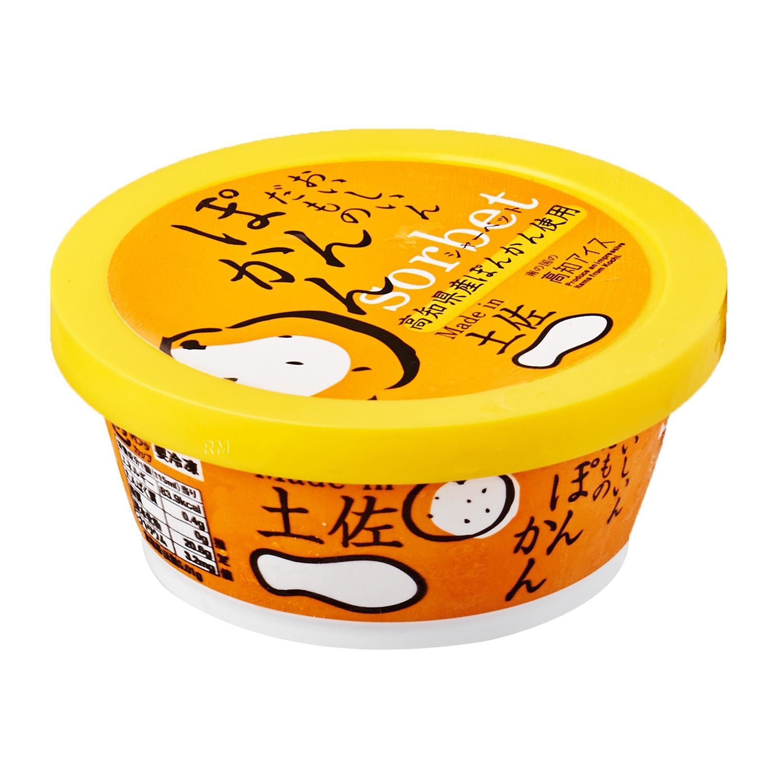 Kochi Ice Ponkan Sorbet Japanese Ice Cream Cup | NTUC FairPrice