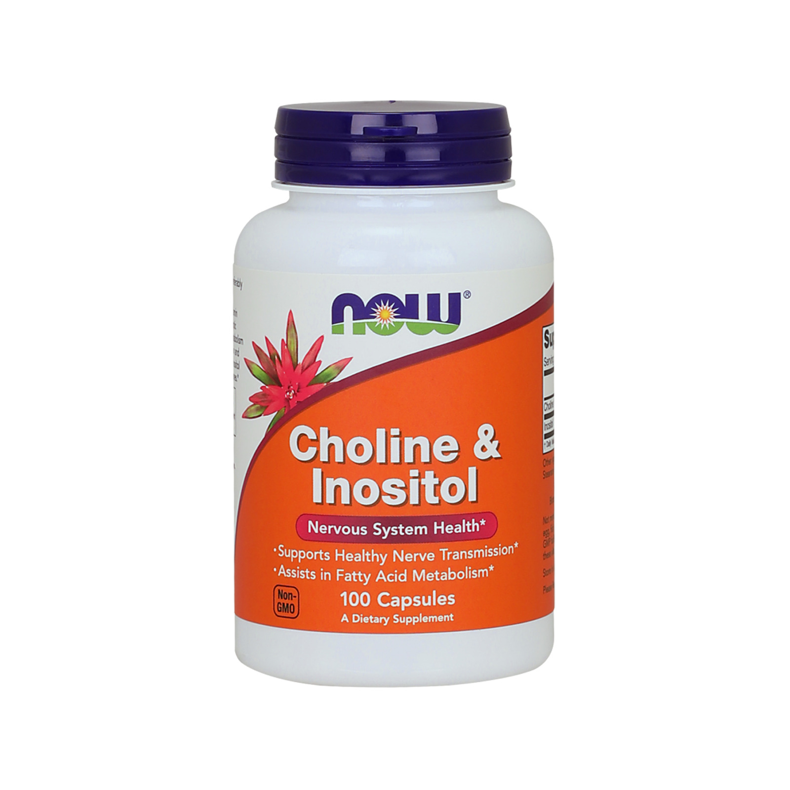 Now Foods Choline & Inositol 250/250mg | NTUC FairPrice