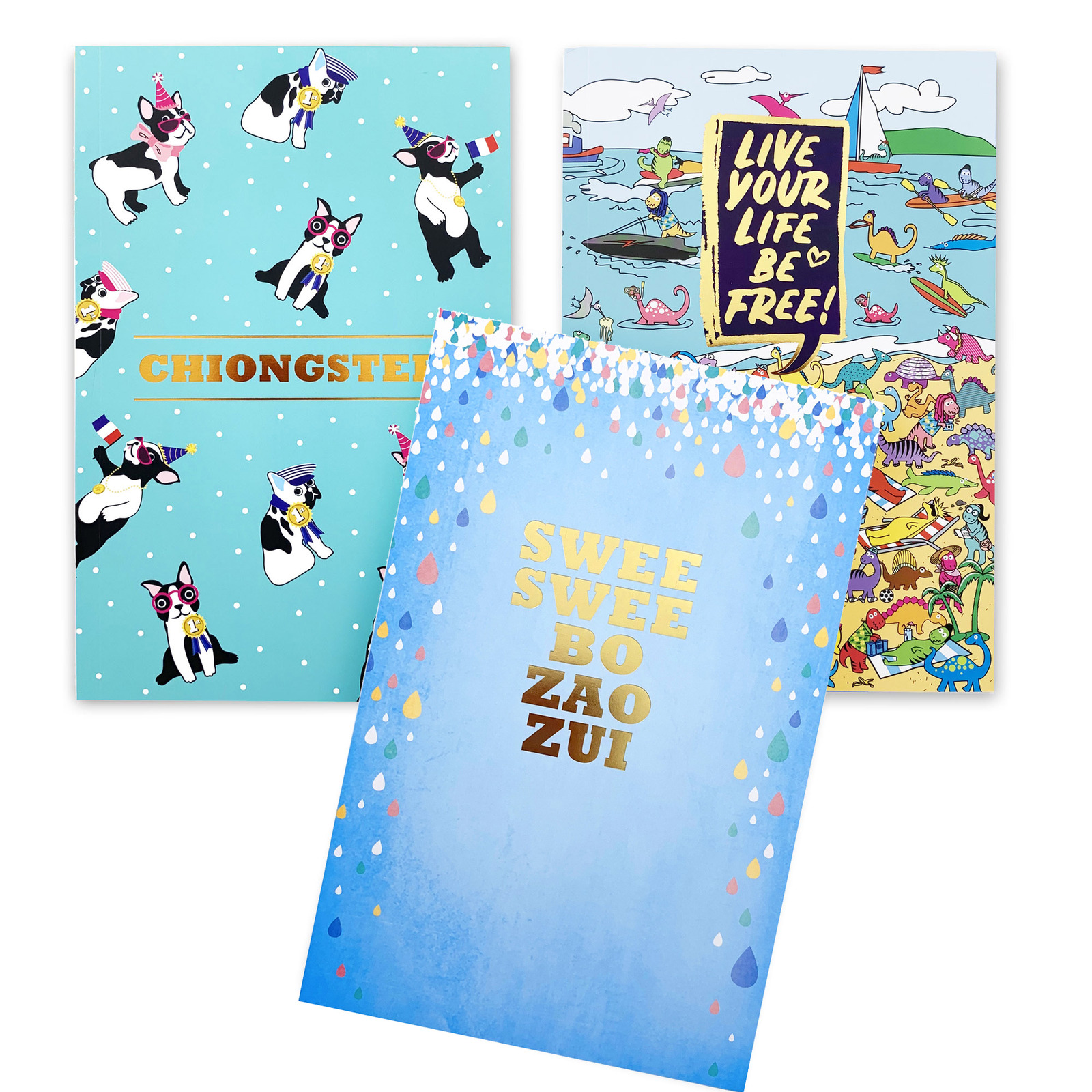 The Paper Stone Notebook - Brave 3pk Set | NTUC FairPrice
