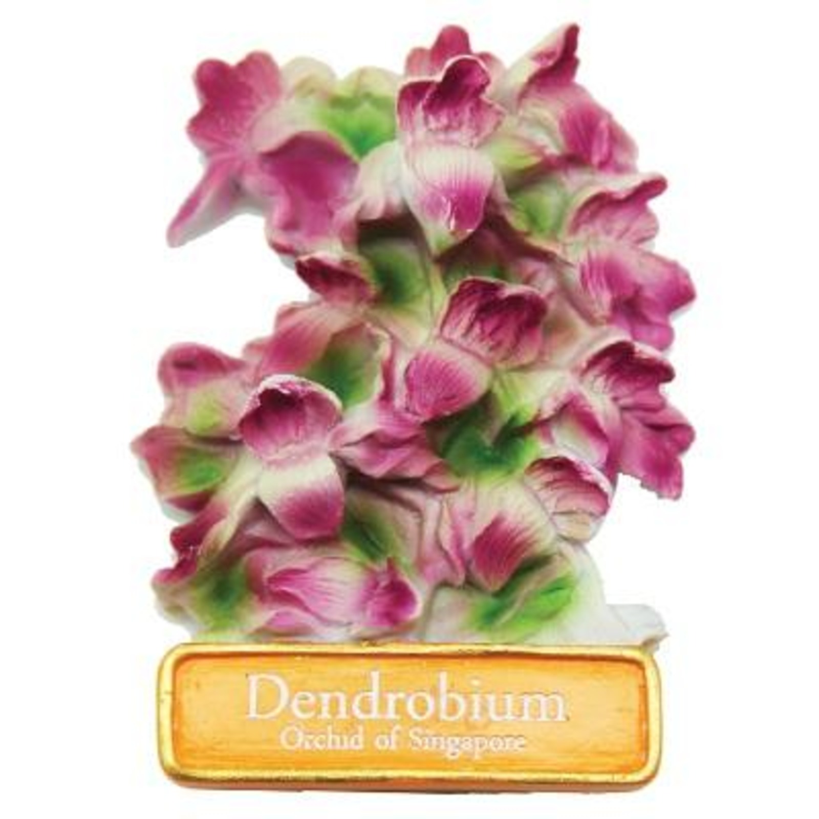 ACE Orchid Magnet - Dendrobium | NTUC FairPrice