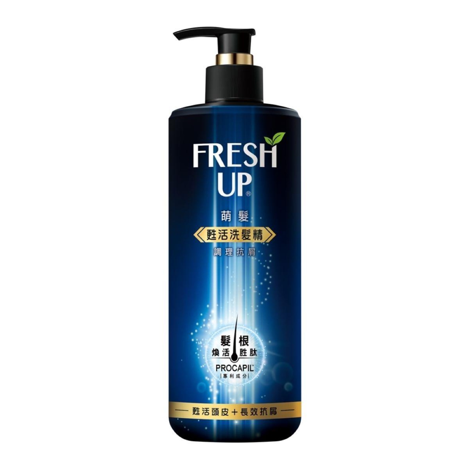 Fresh Up Reviving Shampoo-Anti -Dandruff | NTUC FairPrice