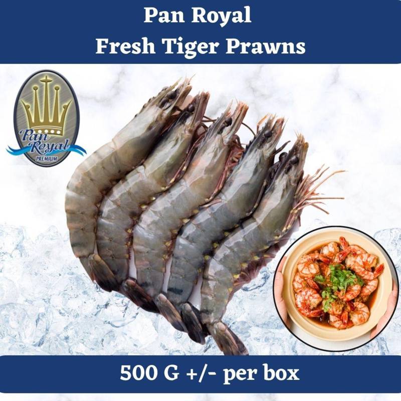 Pan Royal Pan Royal Fresh Tiger Prawn | NTUC FairPrice