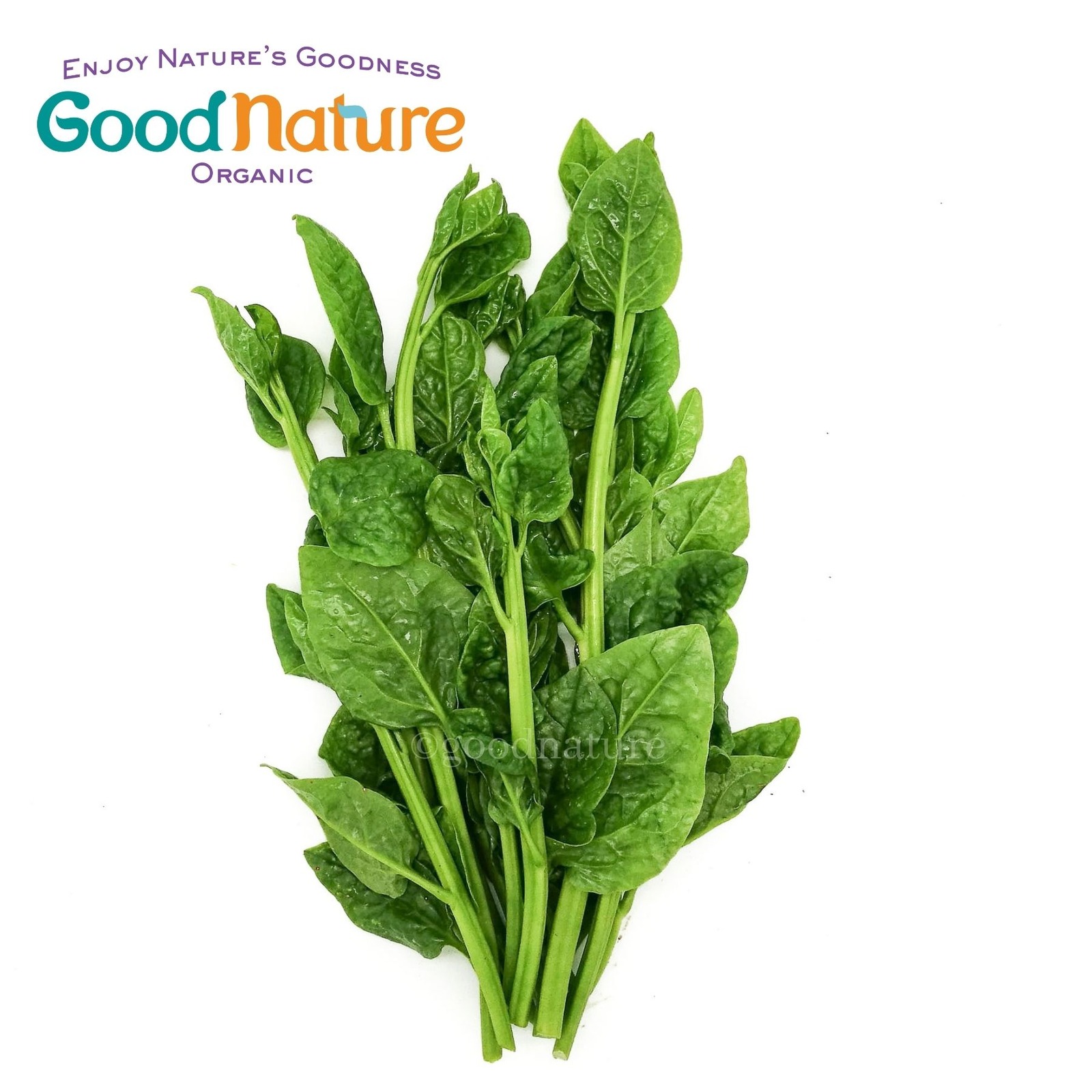Good Nature Organic New Zealand Spinach | NTUC FairPrice